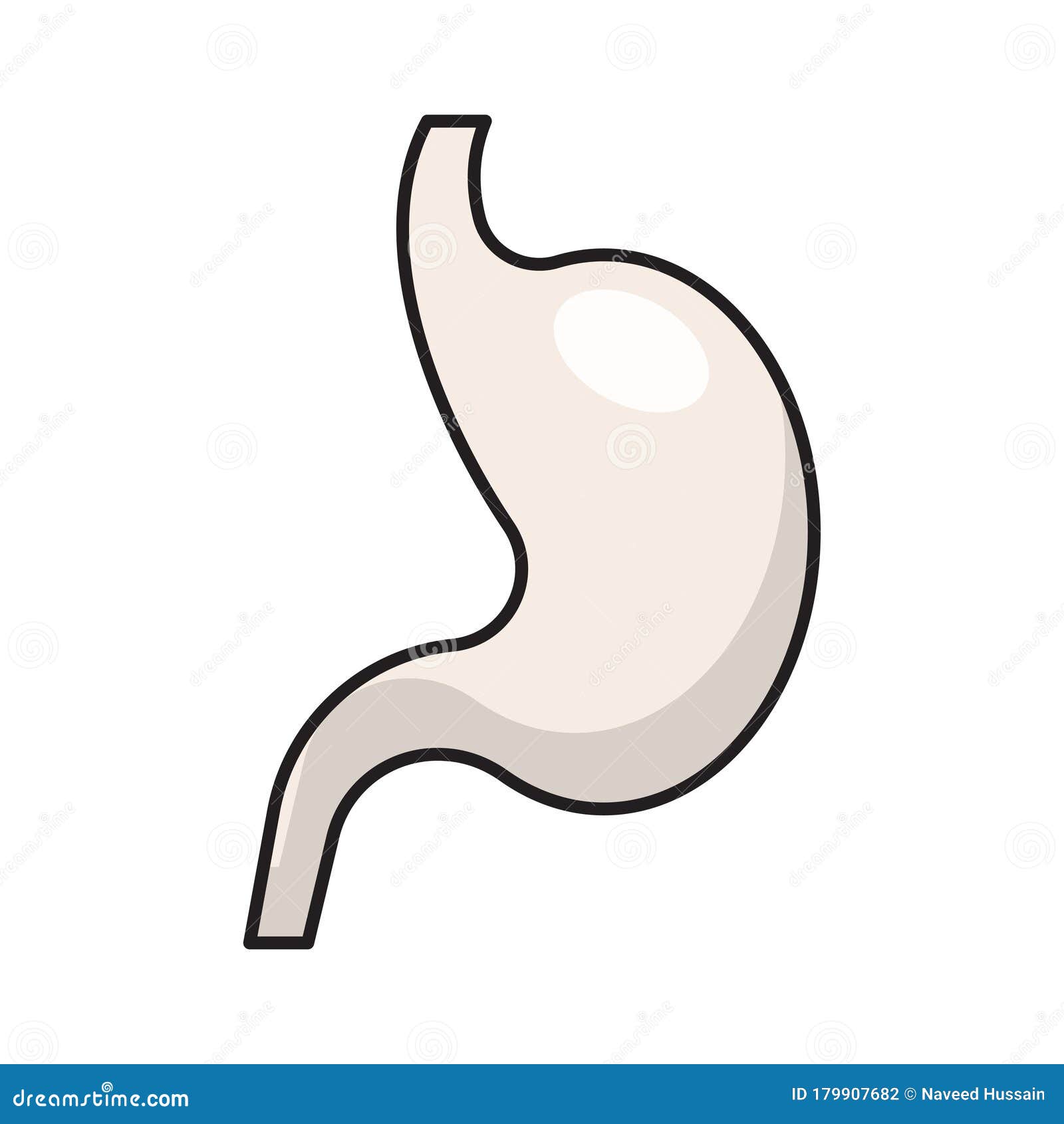 Digest Vector Flat Color Icon Stock Vector - Illustration of medicine ...