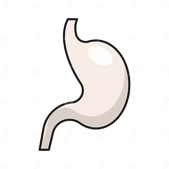 Digest Vector Flat Color Icon Stock Vector - Illustration of medicine ...