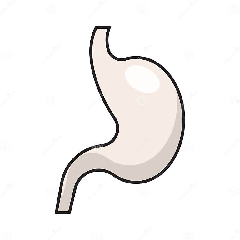 Digest Vector Flat Color Icon Stock Vector - Illustration of medicine ...