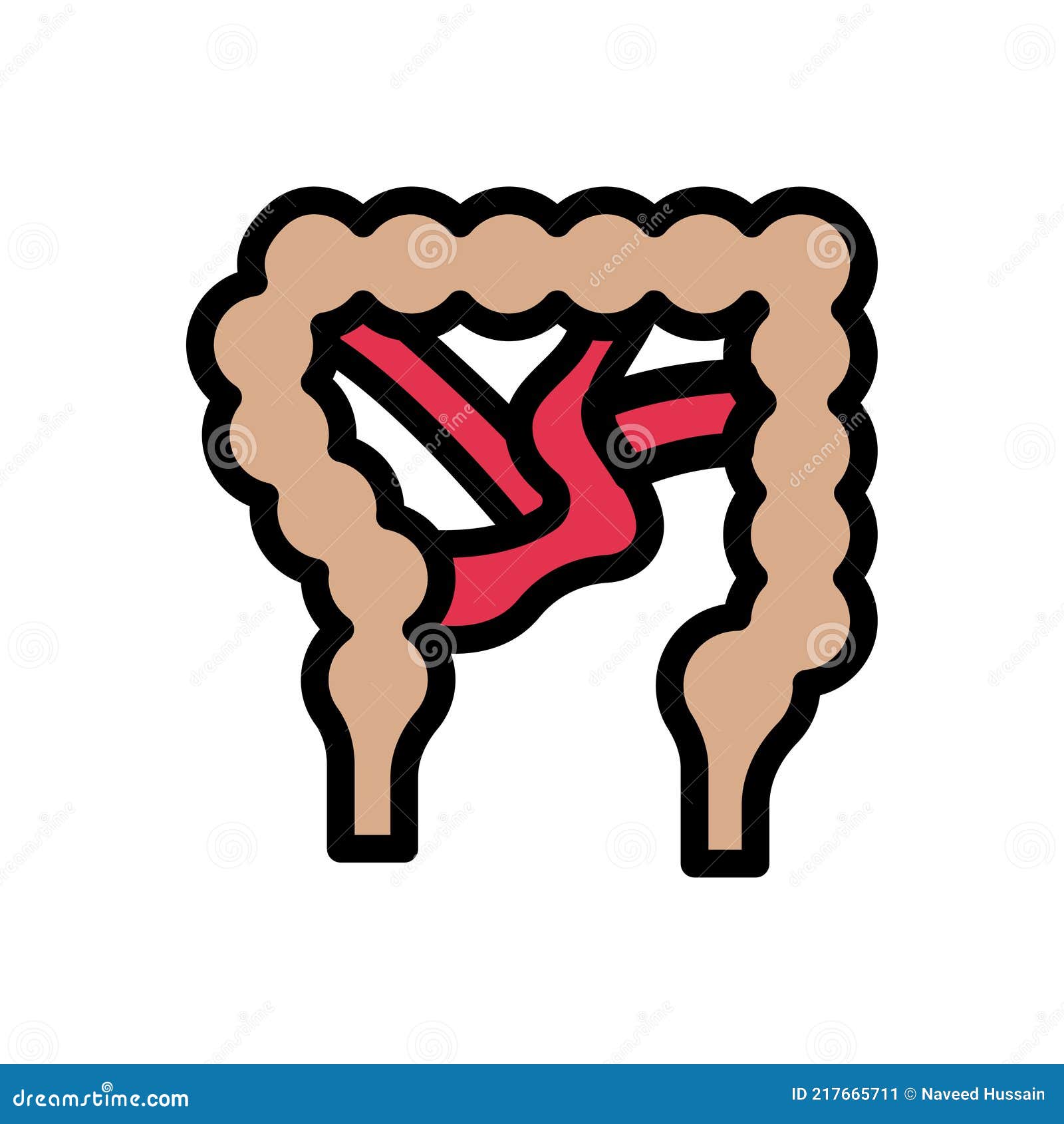 Digestion stock vector. Illustration of icon, intestine - 217665711