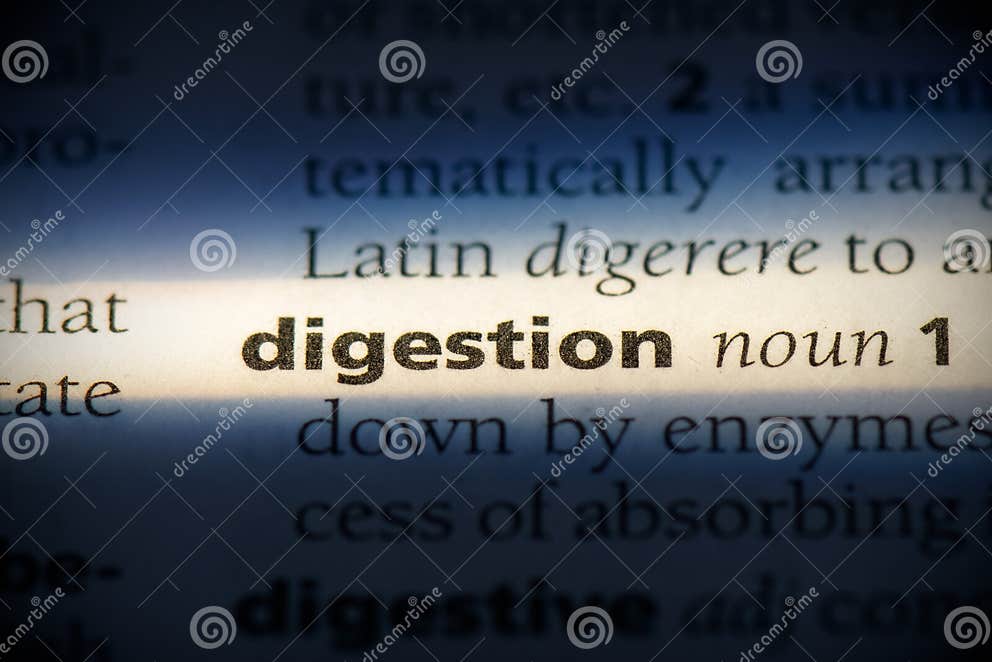 Digestion stock image. Image of paper, closeup, word - 161578629
