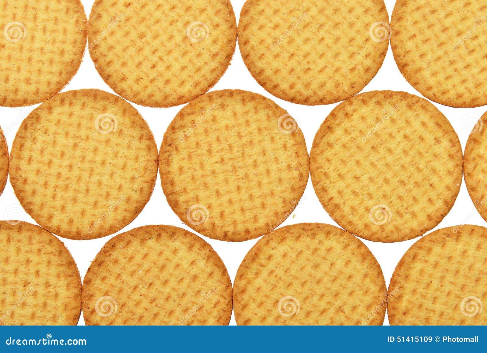 Digestive Biscuits Royalty-Free Stock Image | CartoonDealer.com #84776566