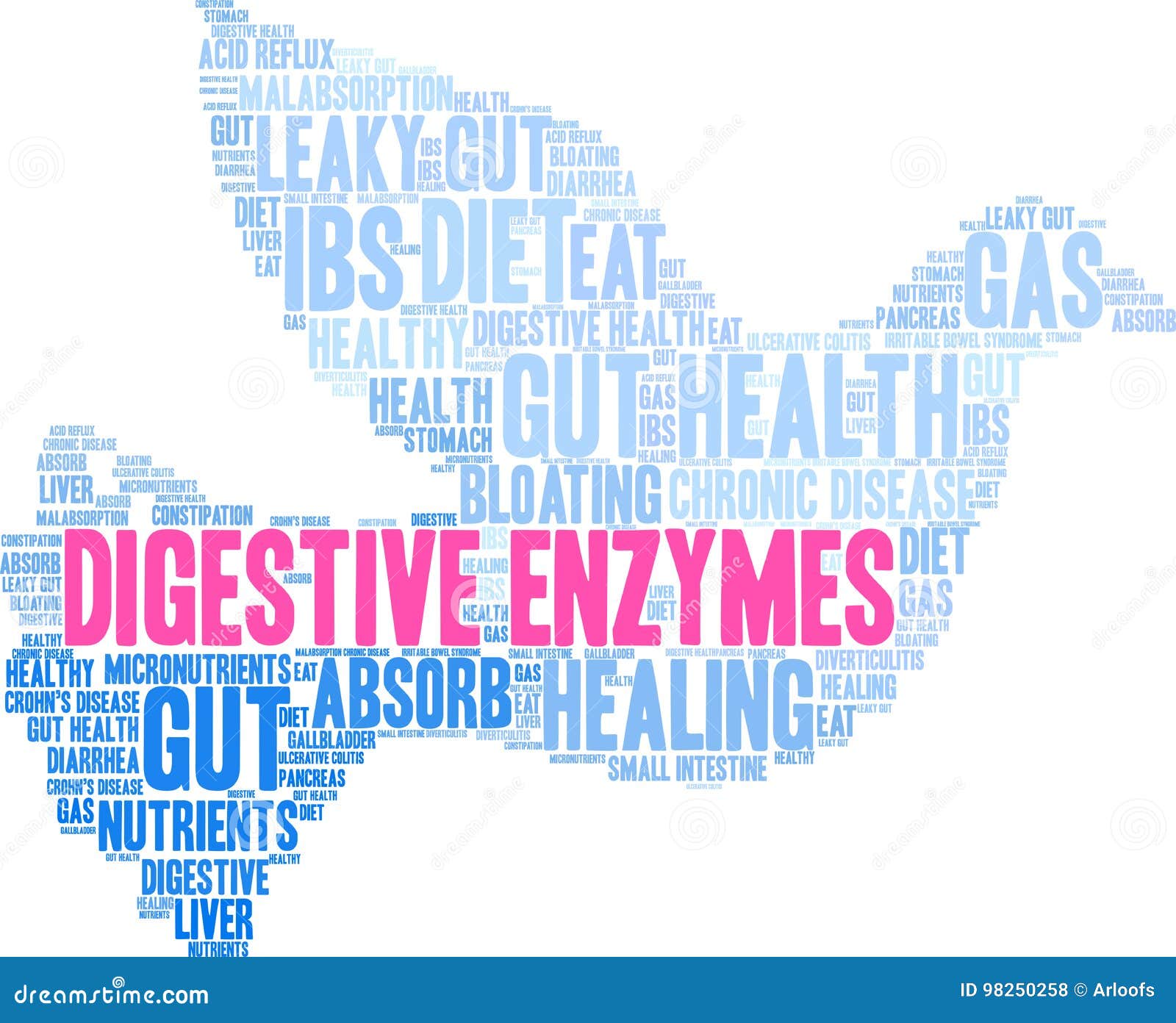 The Digestive Enzymes Travels Through The Pancreatic Duct To Mix ...