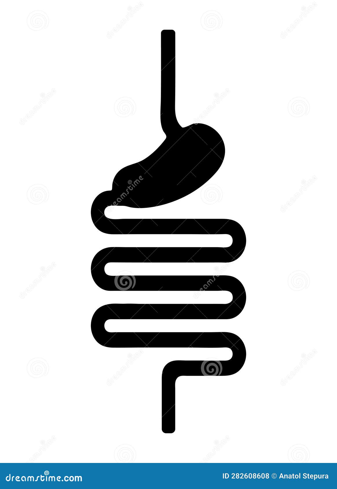 Black Silhouette of Human Digestive System Stock Vector - Illustration ...