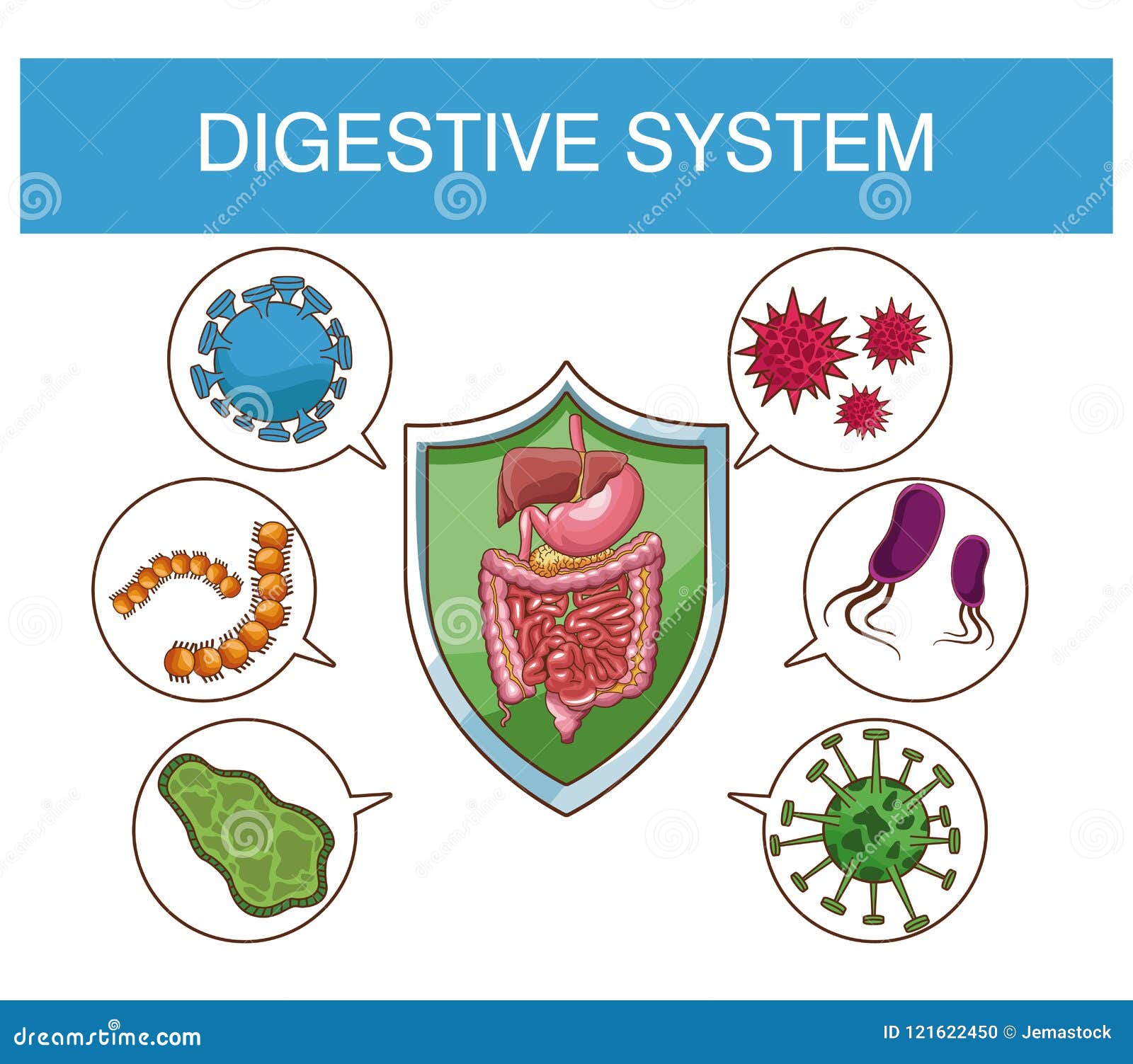 Digestive system concept stock vector. Illustration of medical - 121622450