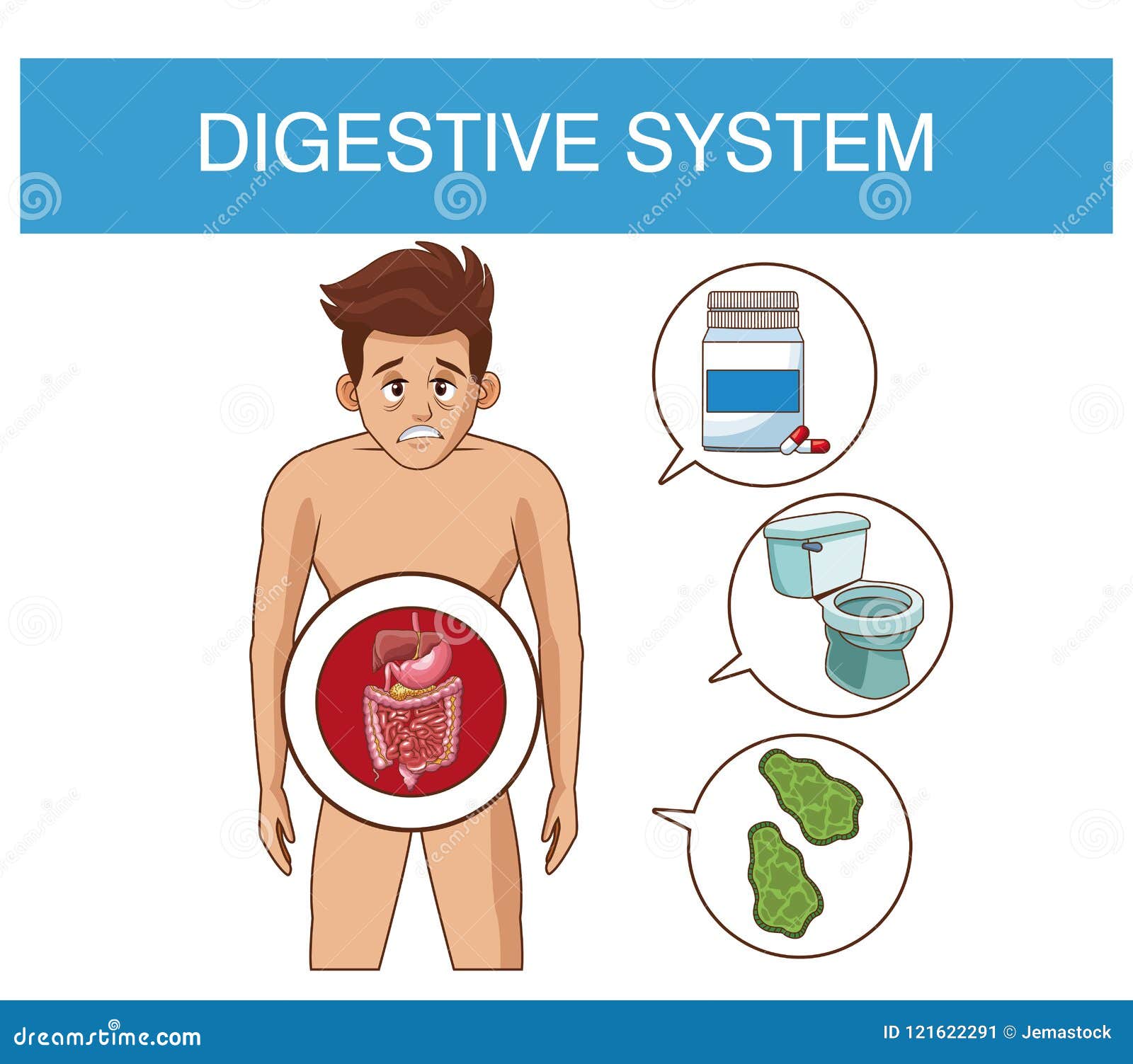 Digestive system concept stock vector. Illustration of gastrointestinal ...