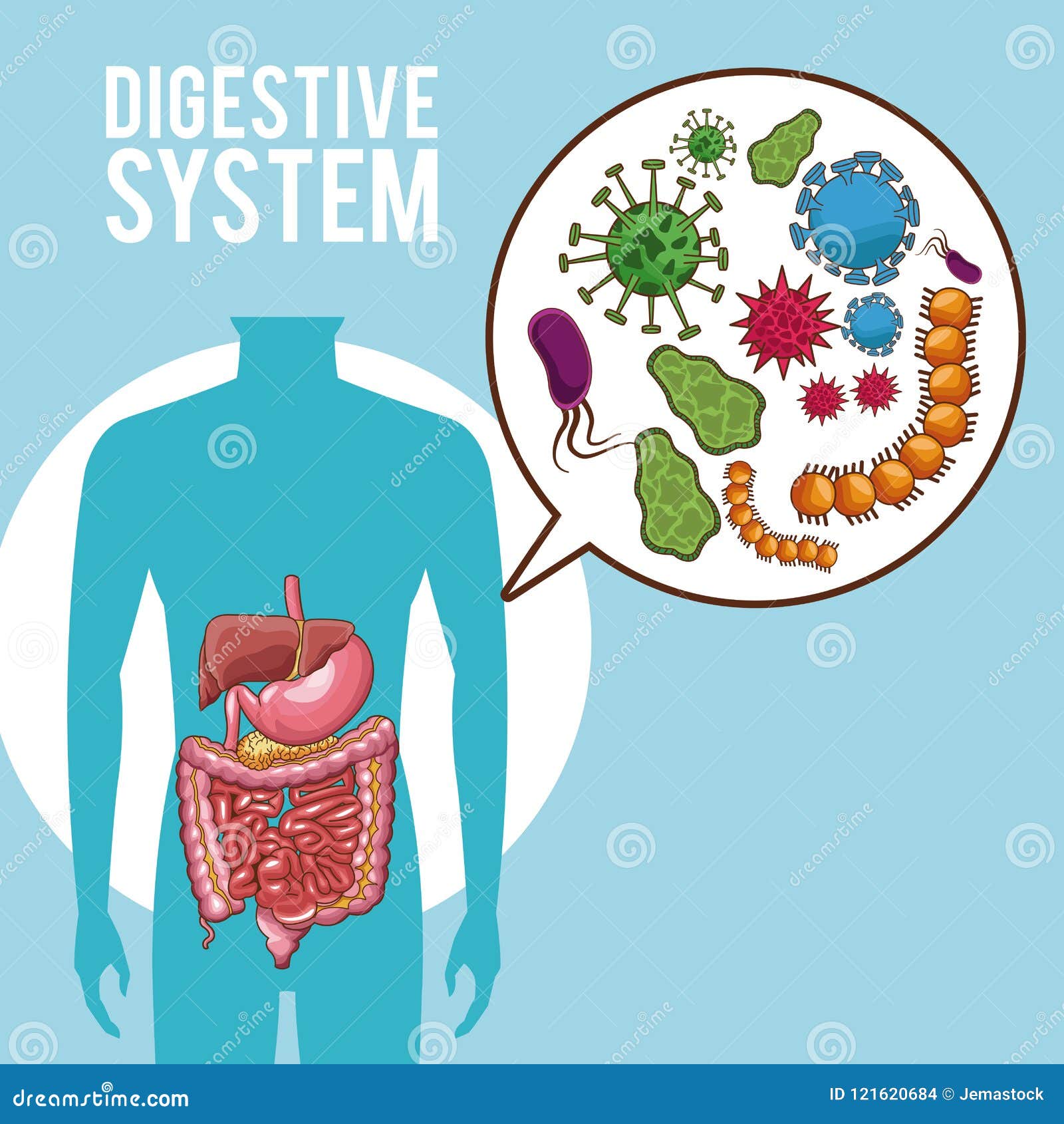 Digestive system poster stock vector. Illustration of biology - 121620684