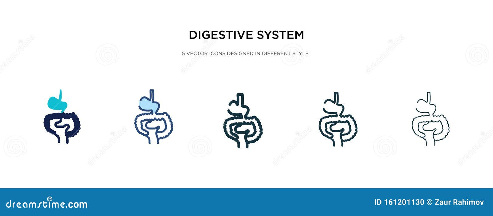 Digestive System Icon in Different Style Vector Illustration. Two ...