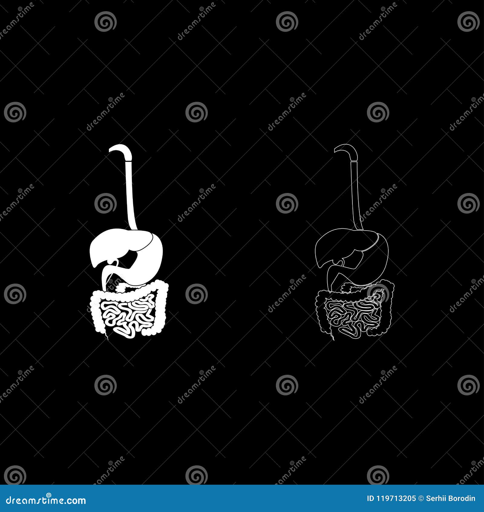 Digestive System Icon Set White Color Illustration Flat Style Simple ...