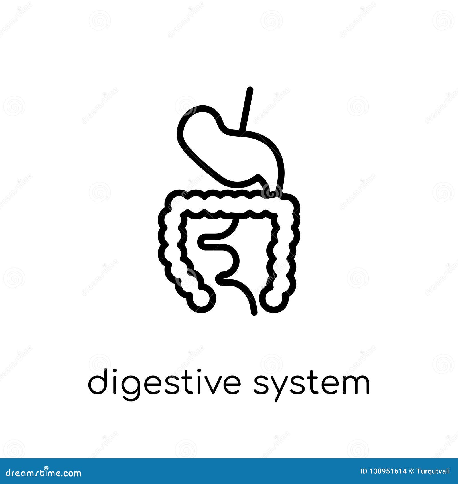 Digestive System Icon. Trendy Modern Flat Linear Vector Digestive ... Digestive System Icon. Trendy Modern Flat Linear Vector Digestive ...