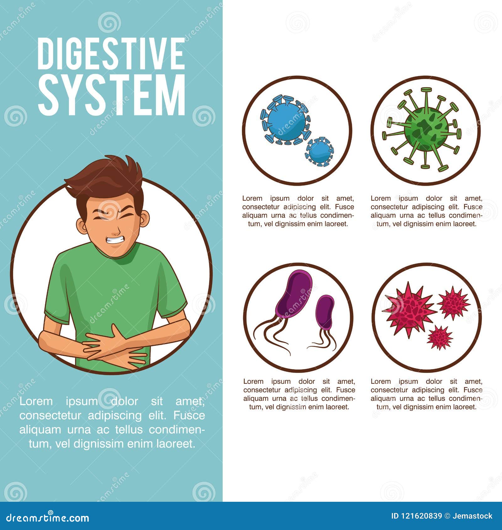 Digestive System Infographic Stock Vector - Illustration of ...