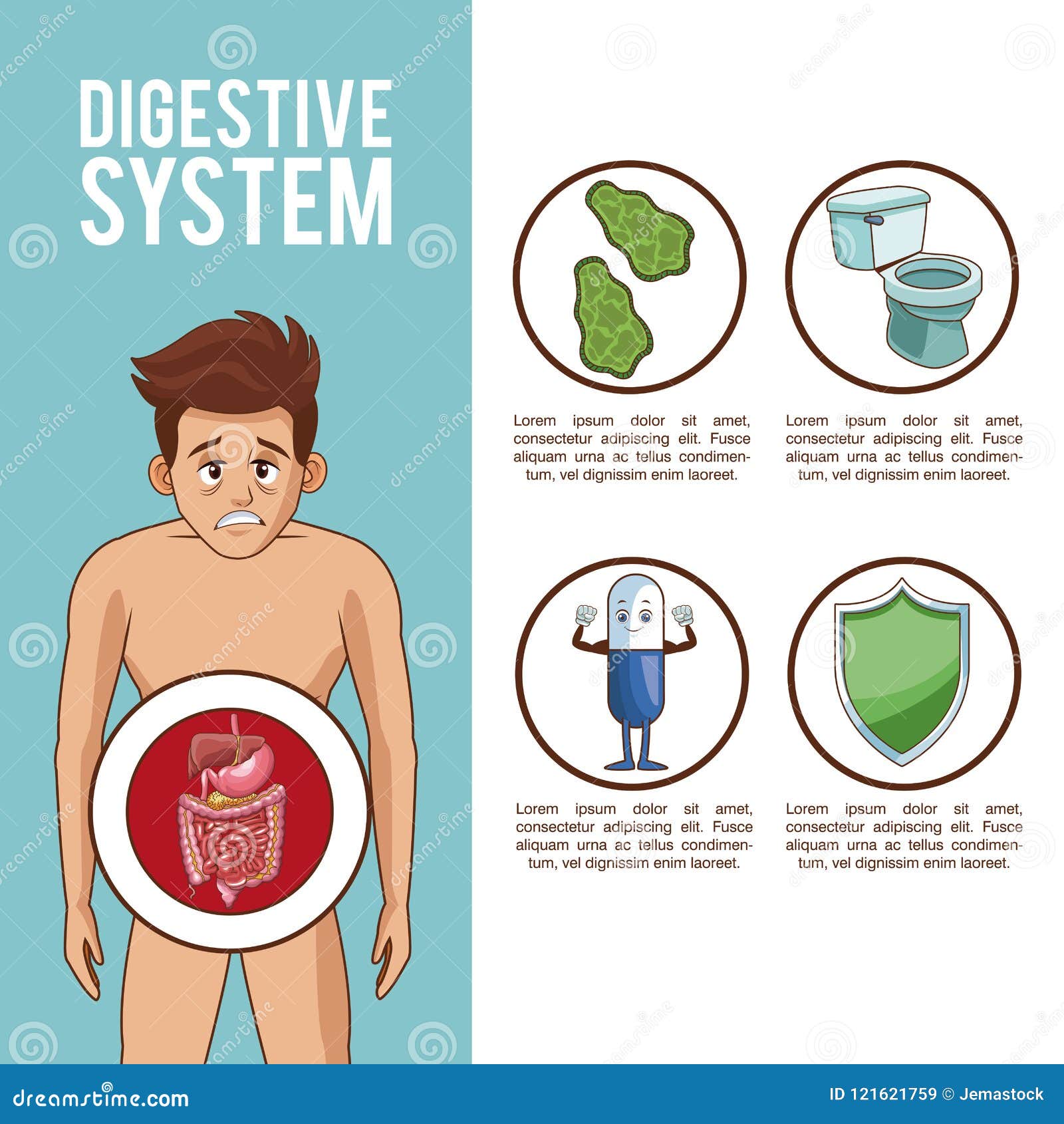 Digestive System Infographic Stock Vector - Illustration of good ...