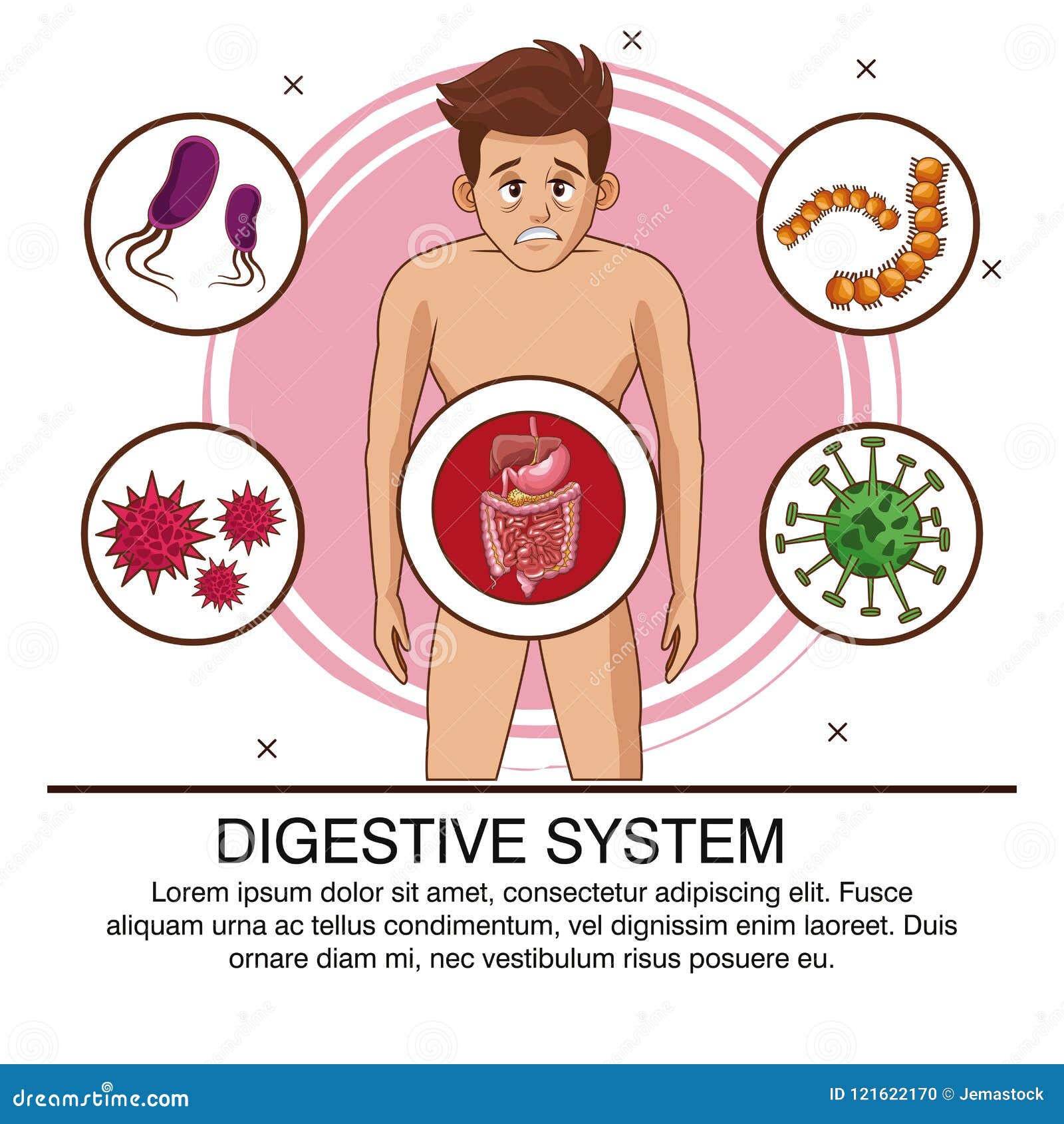 Digestive System Infographic Stock Vector - Illustration of colon ...