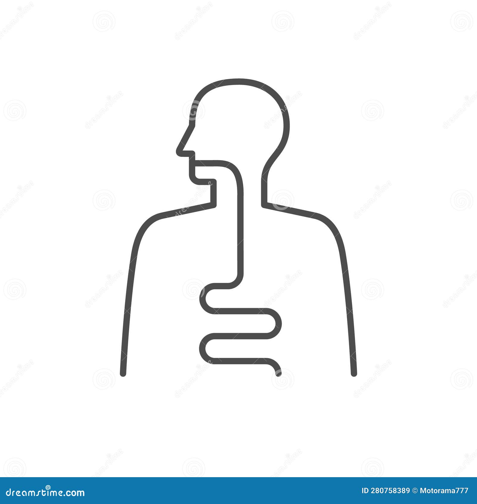 Digesting Line Icons Collection. Absorption, Enzymes, Metabolism ...
