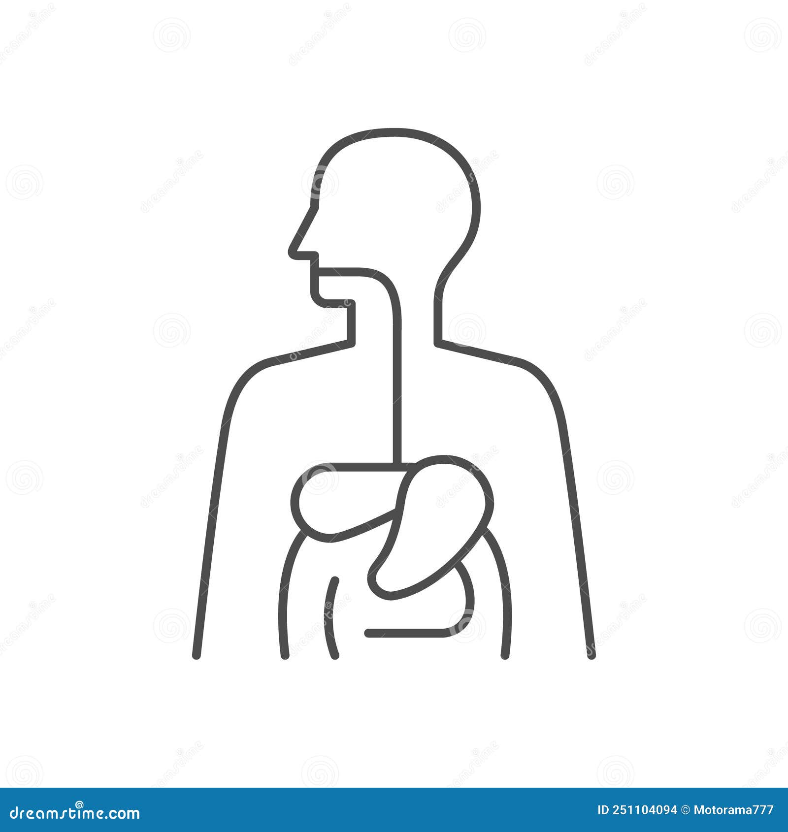 Digestive System Line Outline Icon Stock Vector - Illustration of ...