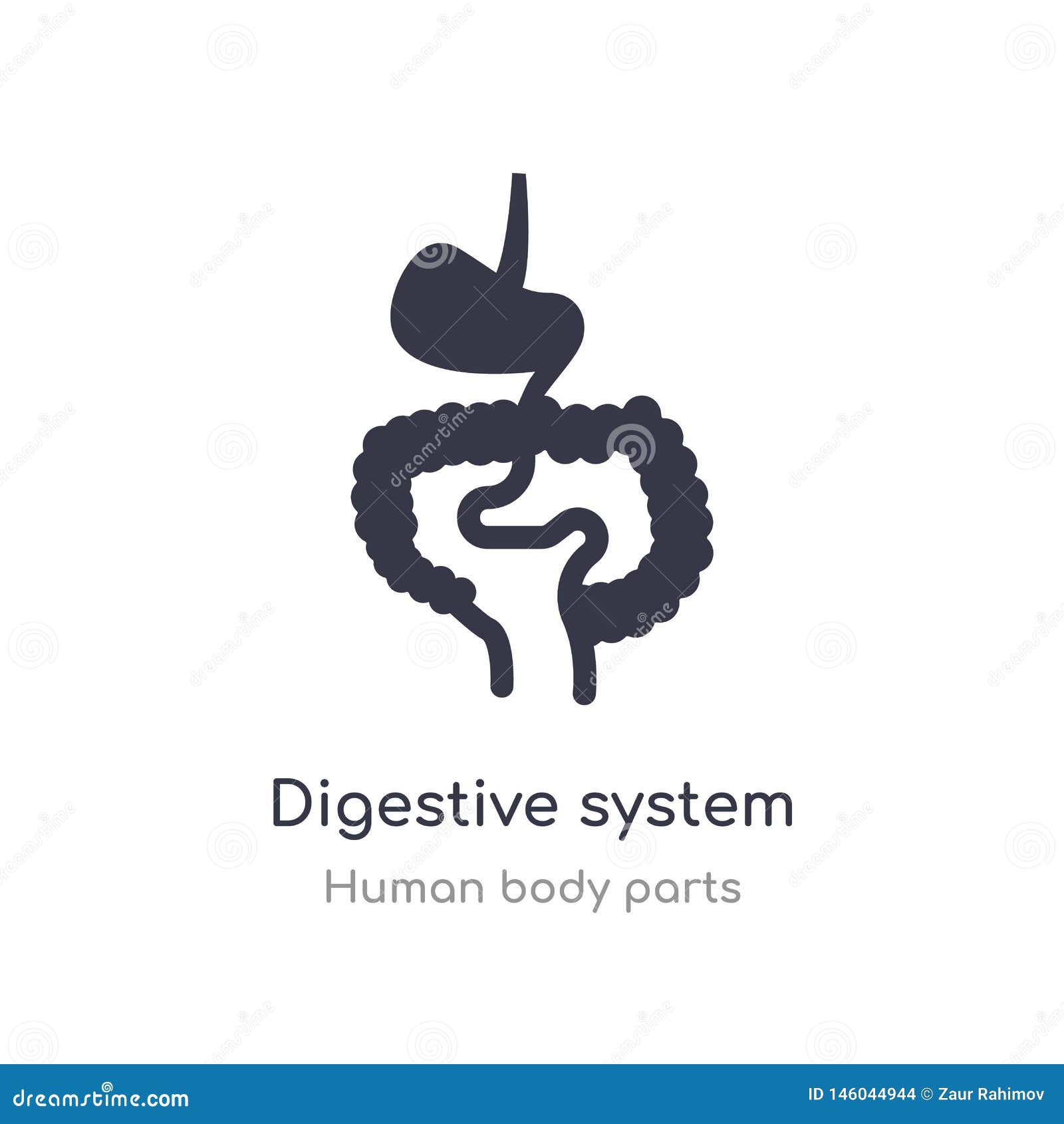 Digestive System Outline Icon. Isolated Line Vector Illustration from ... Digestive System Outline Icon. Isolated Line Vector Illustration from ...