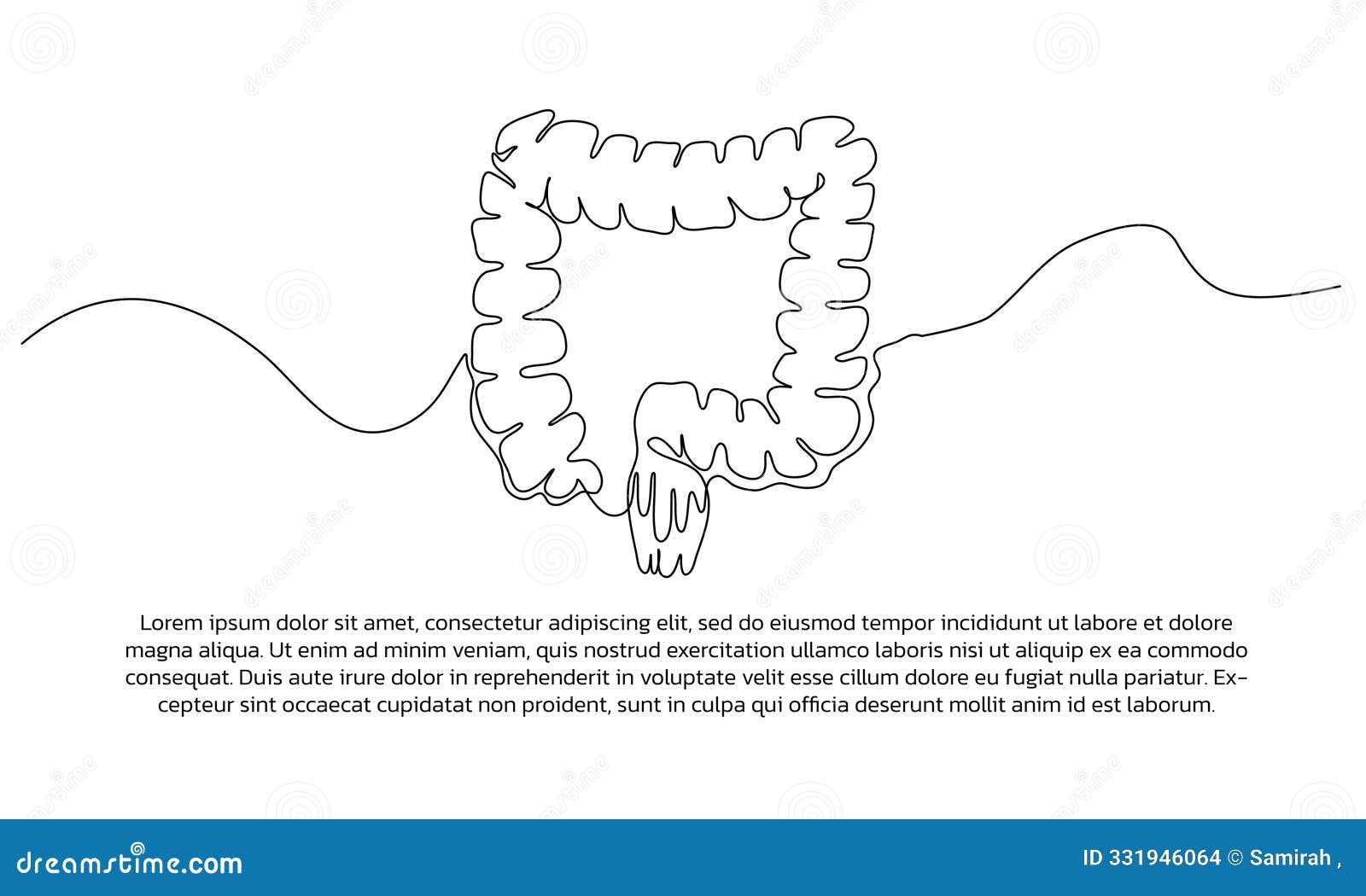 Drawing Of The Digestive System Vector Illustration | CartoonDealer.com ...