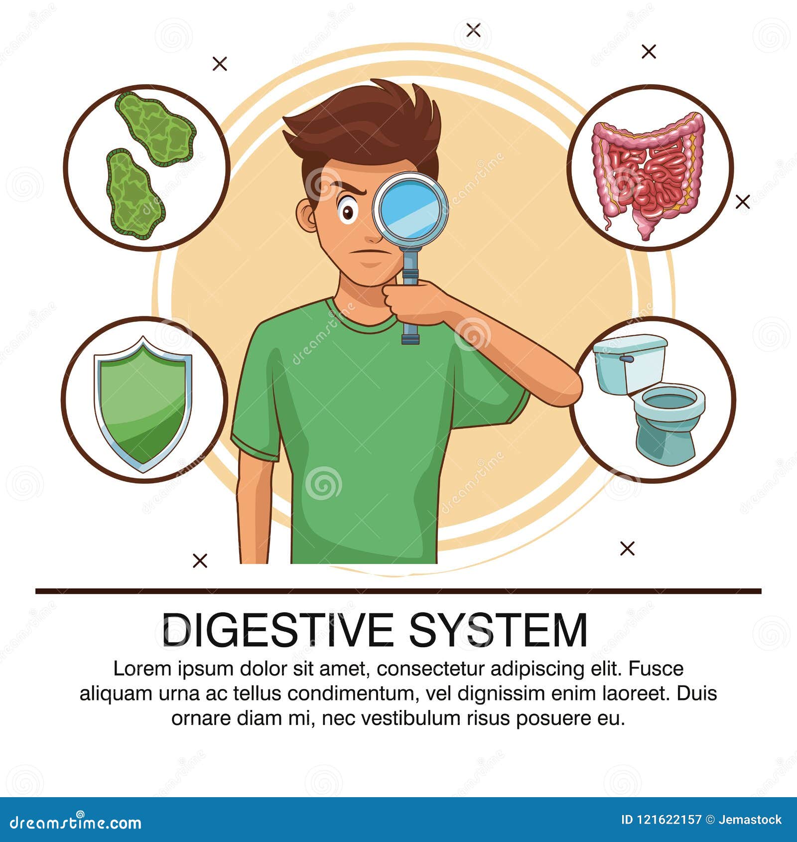 Digestive System Infographic Stock Vector - Illustration of internal ...
