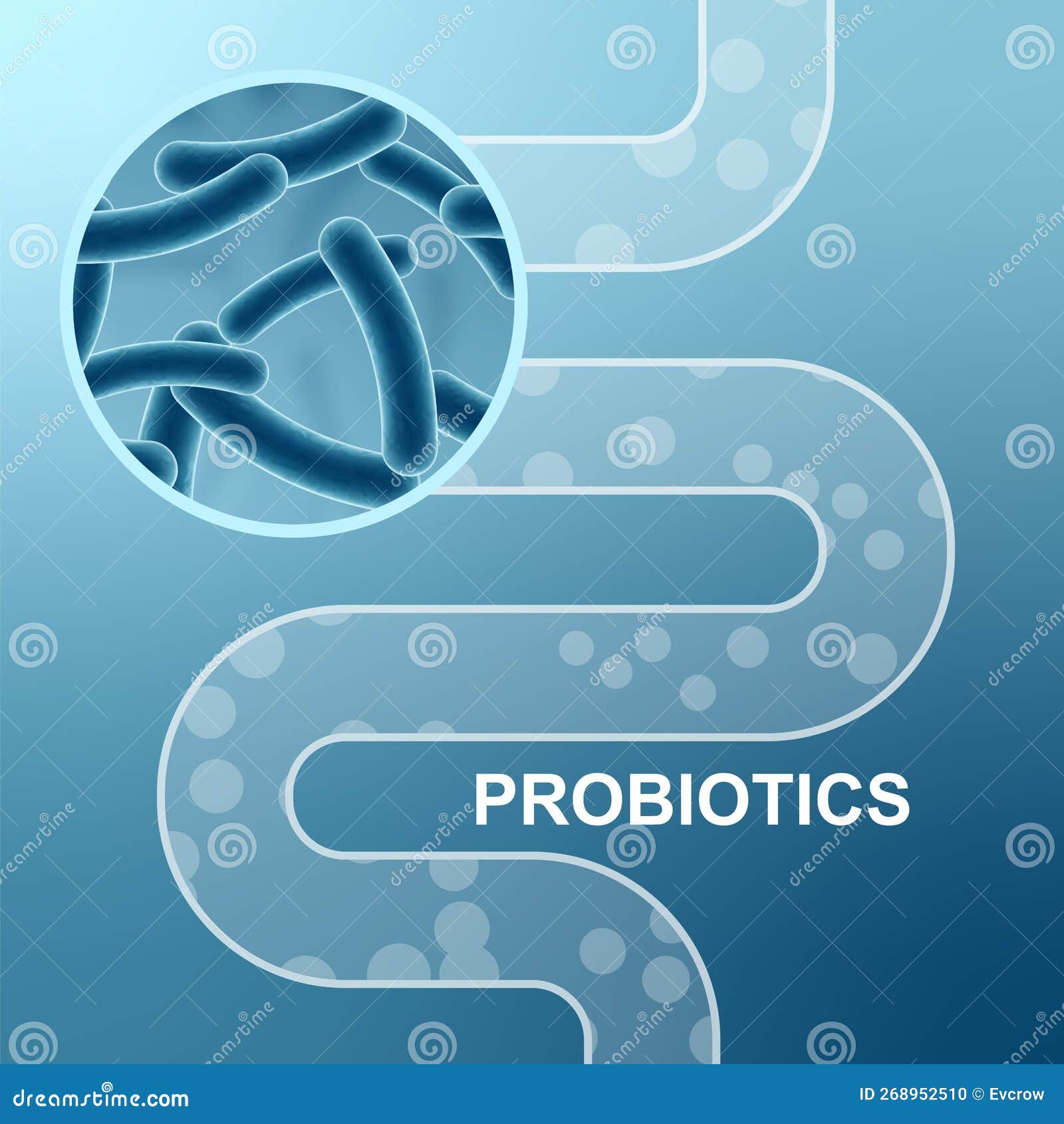 Digestive System and Probiotics Stock Vector - Illustration of medicine ...