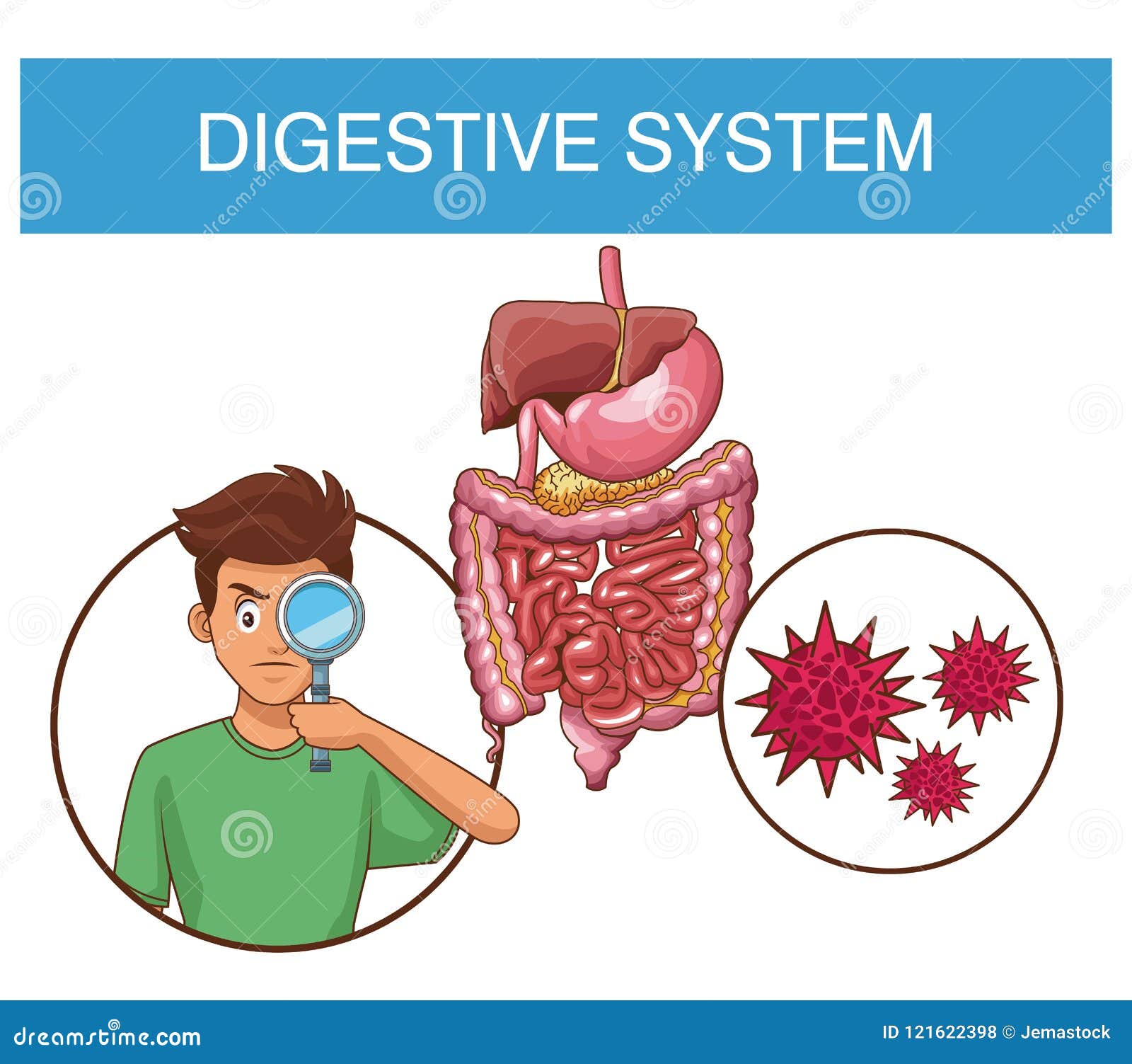 Digestive system concept stock vector. Illustration of liver - 121622398