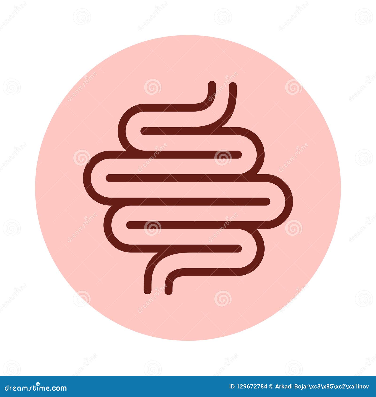 Digestive Tract Vector Icon Stock Vector - Illustration of digestive ...