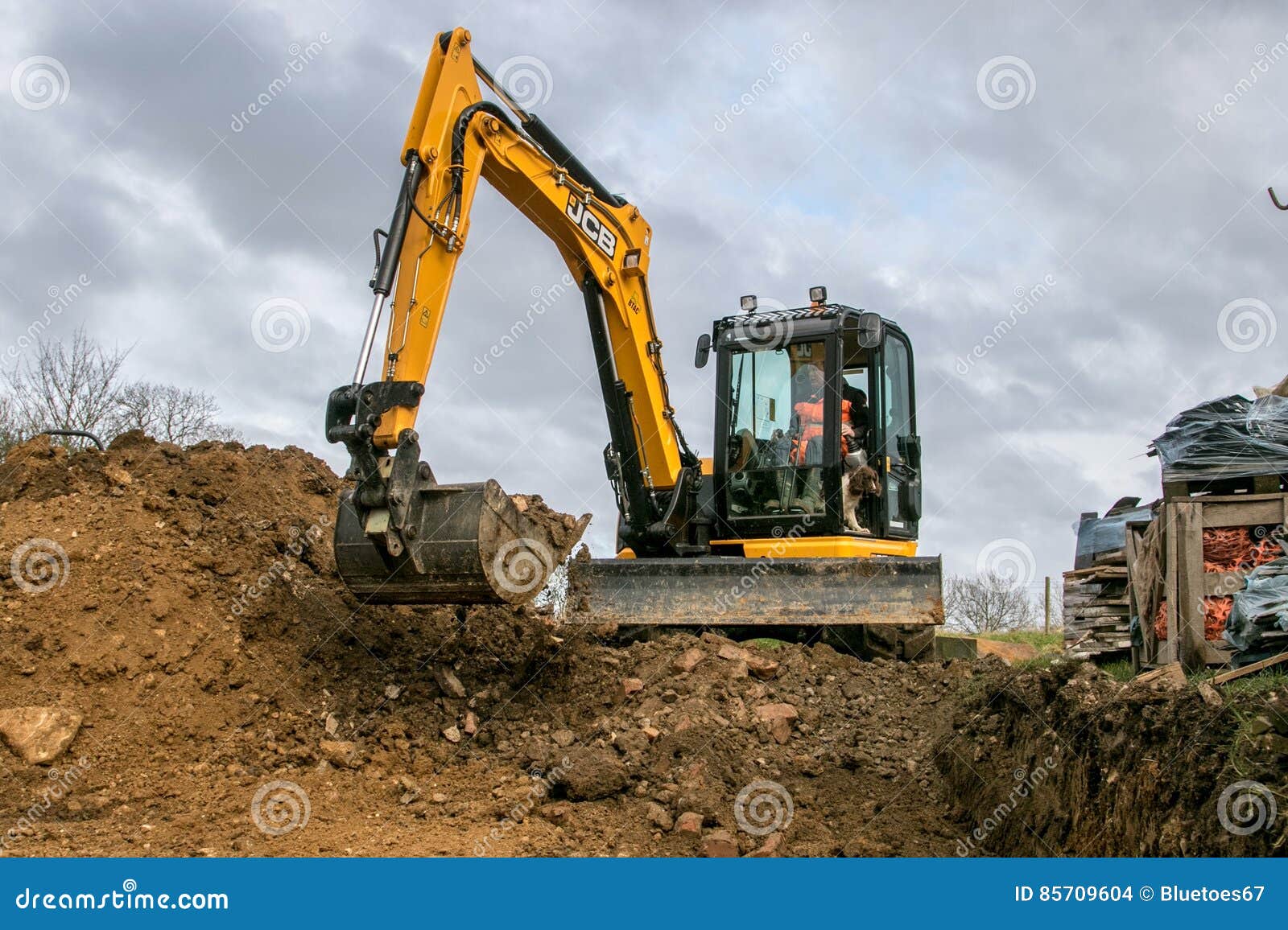 A Digger Tipping Soil Into A Site Dumper Truck Editorial Image ...