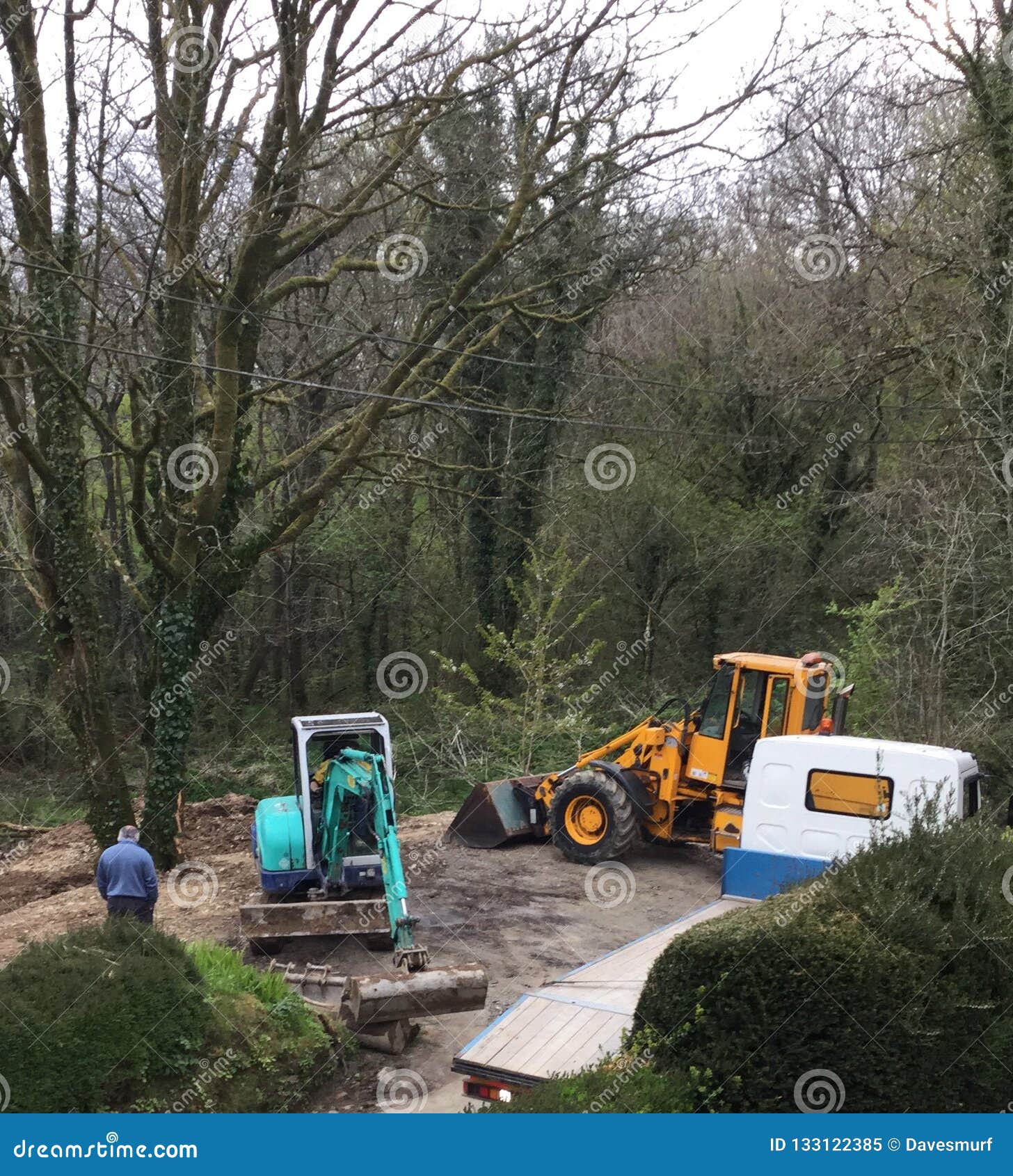 Diggers Digging in the Woods Stock Image - Image of flowers, digging ...