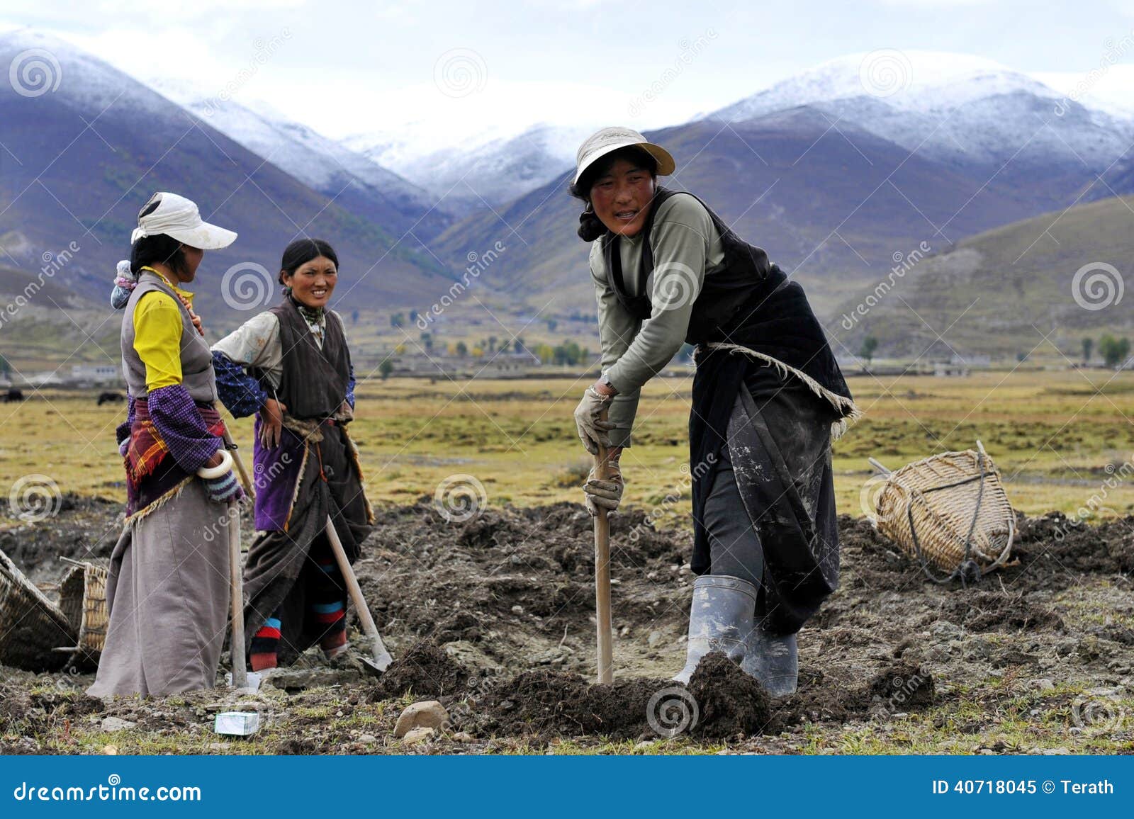 Diggers editorial image. Image of shovel, snowberg, excavation - 40718045