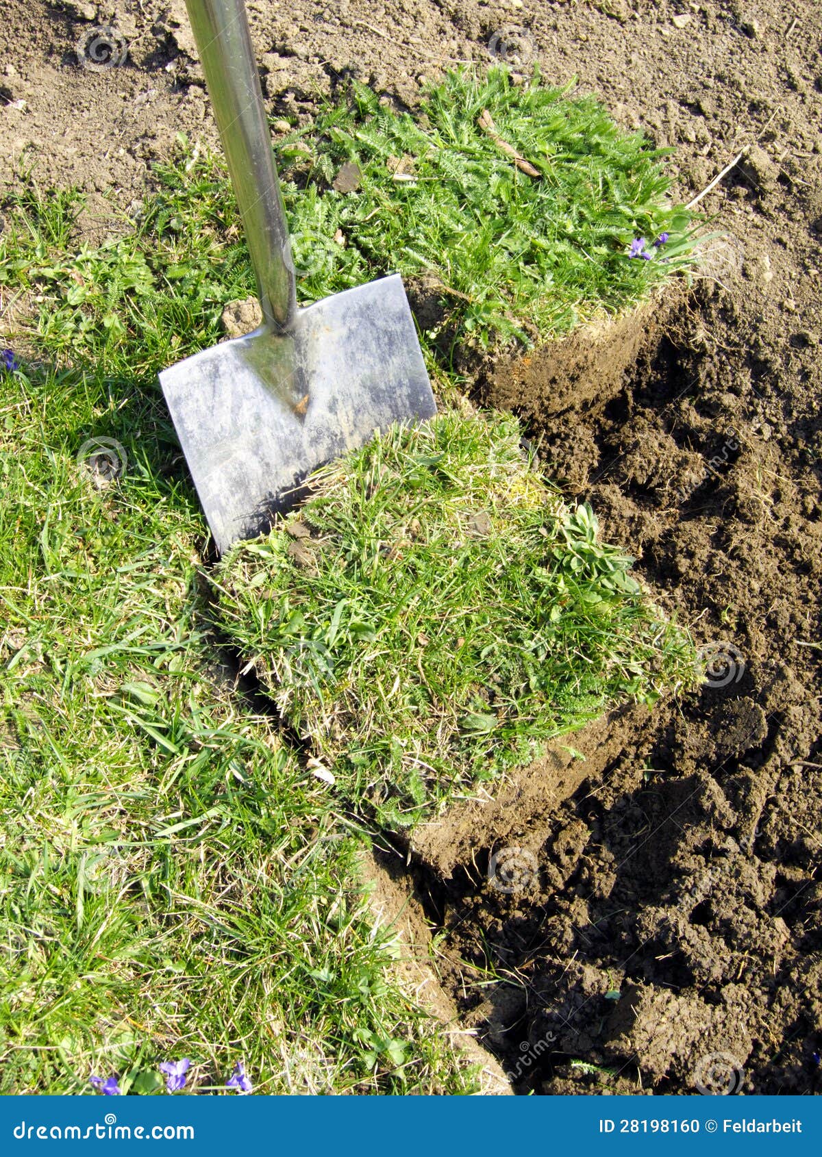 Digging stock photo. Image of grass, floor, ploughing - 28198160
