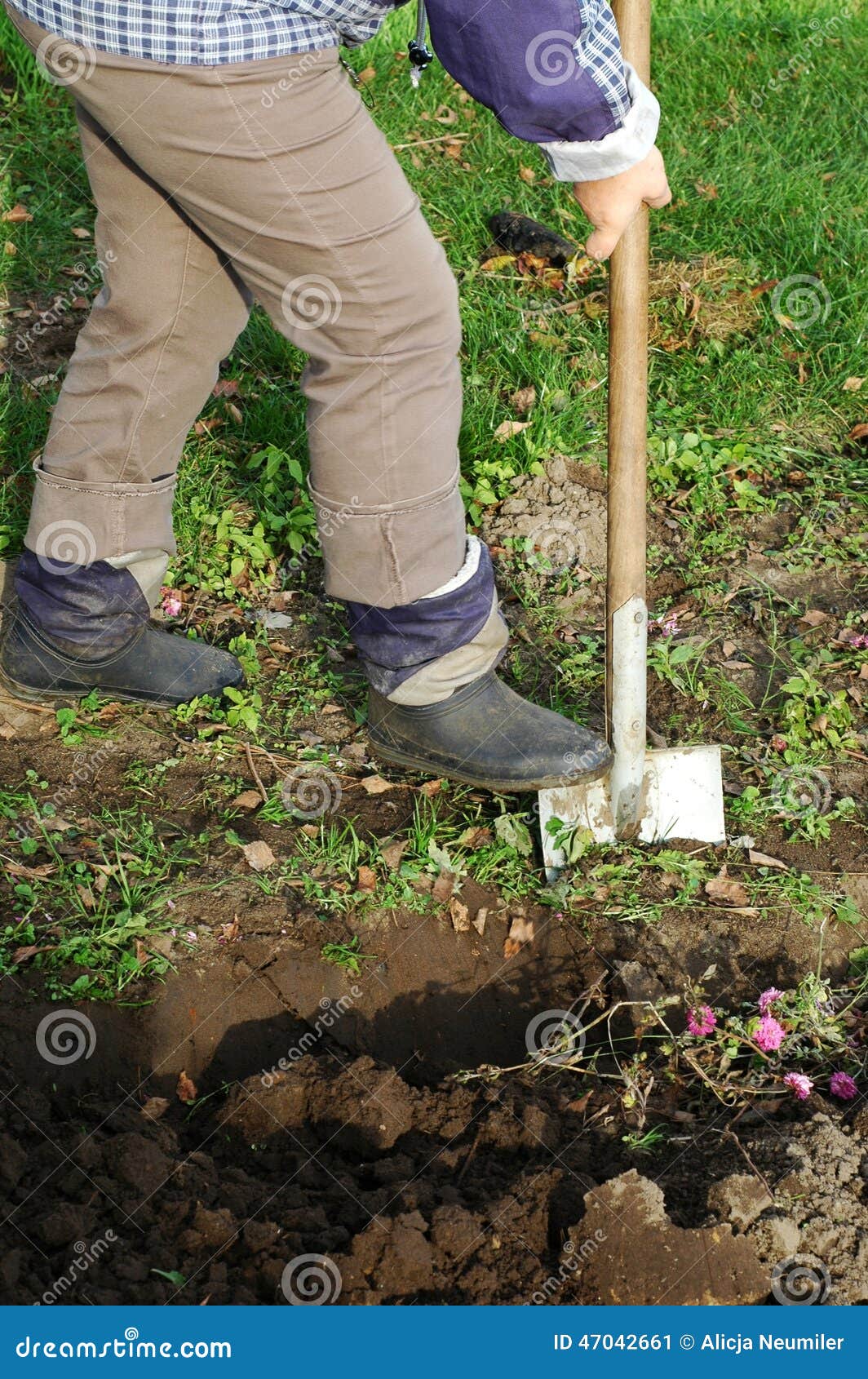 Digging stock afbeelding. Image of tuinieren, spenen - 47042661