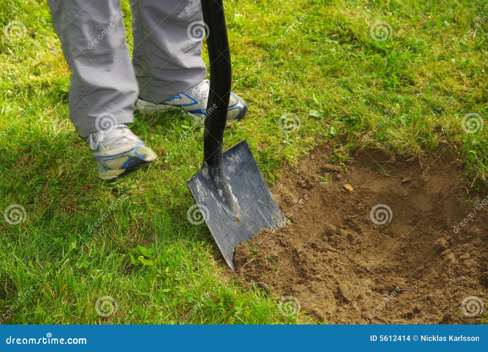 Digging stock photo. Image of shoes, grass, working, lawn - 5612414