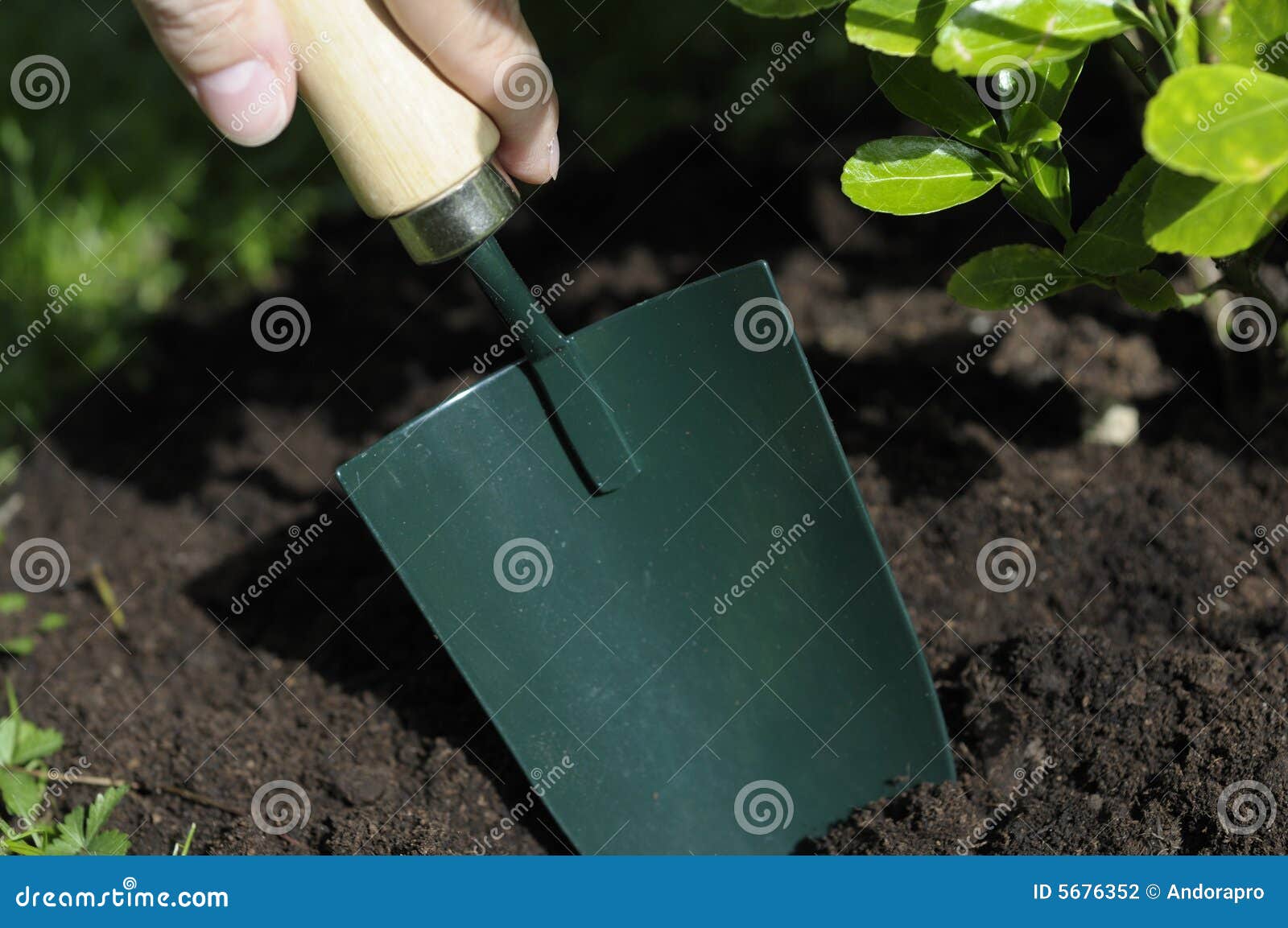 Digging stock photo. Image of conservation, digging, environmental ...