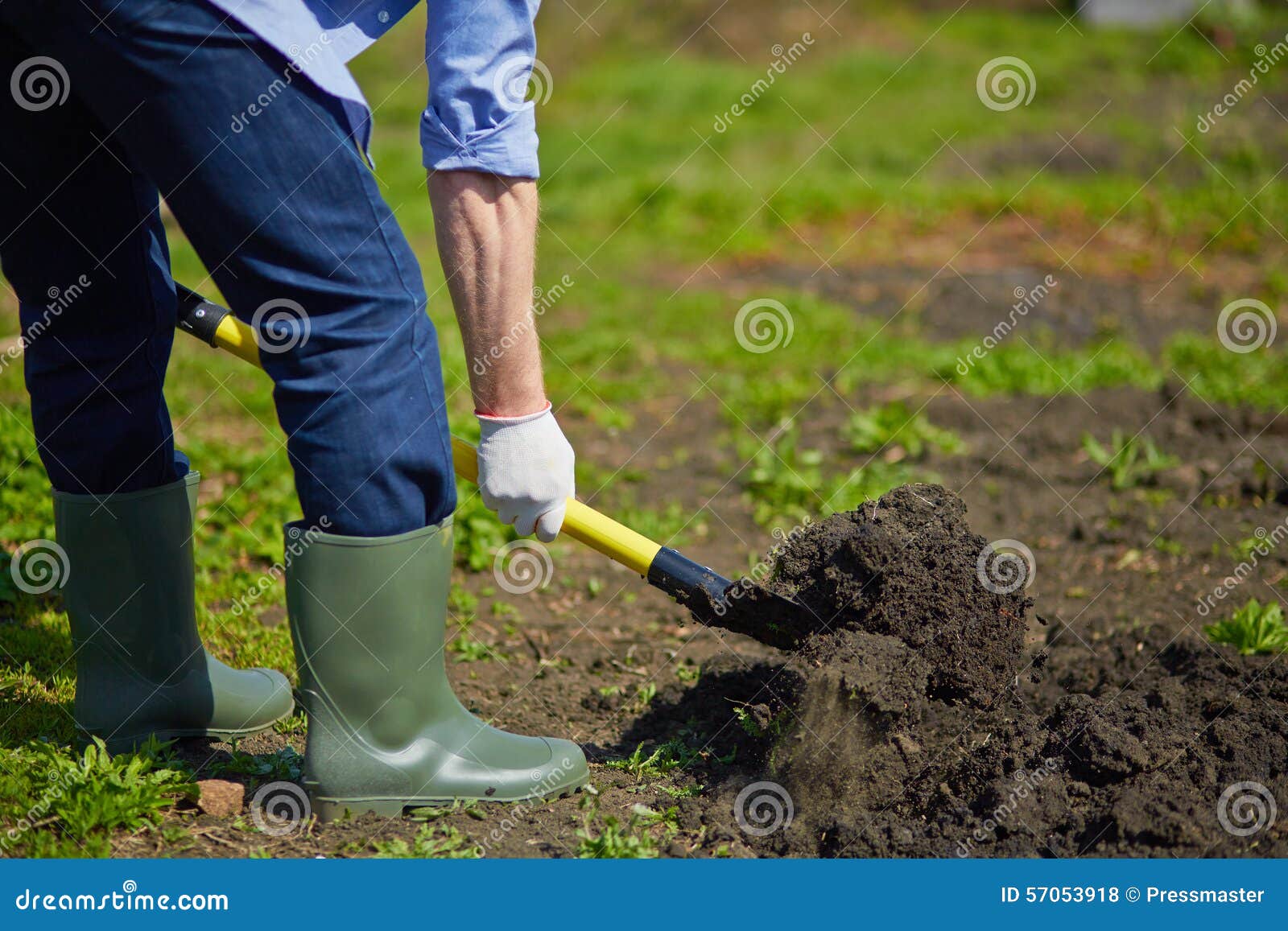 Digging stock foto. Image of been, landbouw, gras, landbouwgrond - 57053918