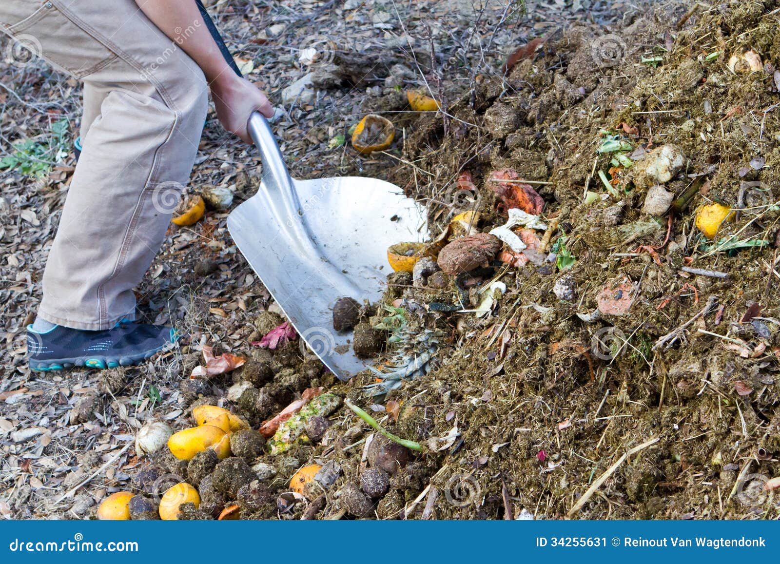 Digging compost stock image. Image of soil, kitchen, dirt - 34255631