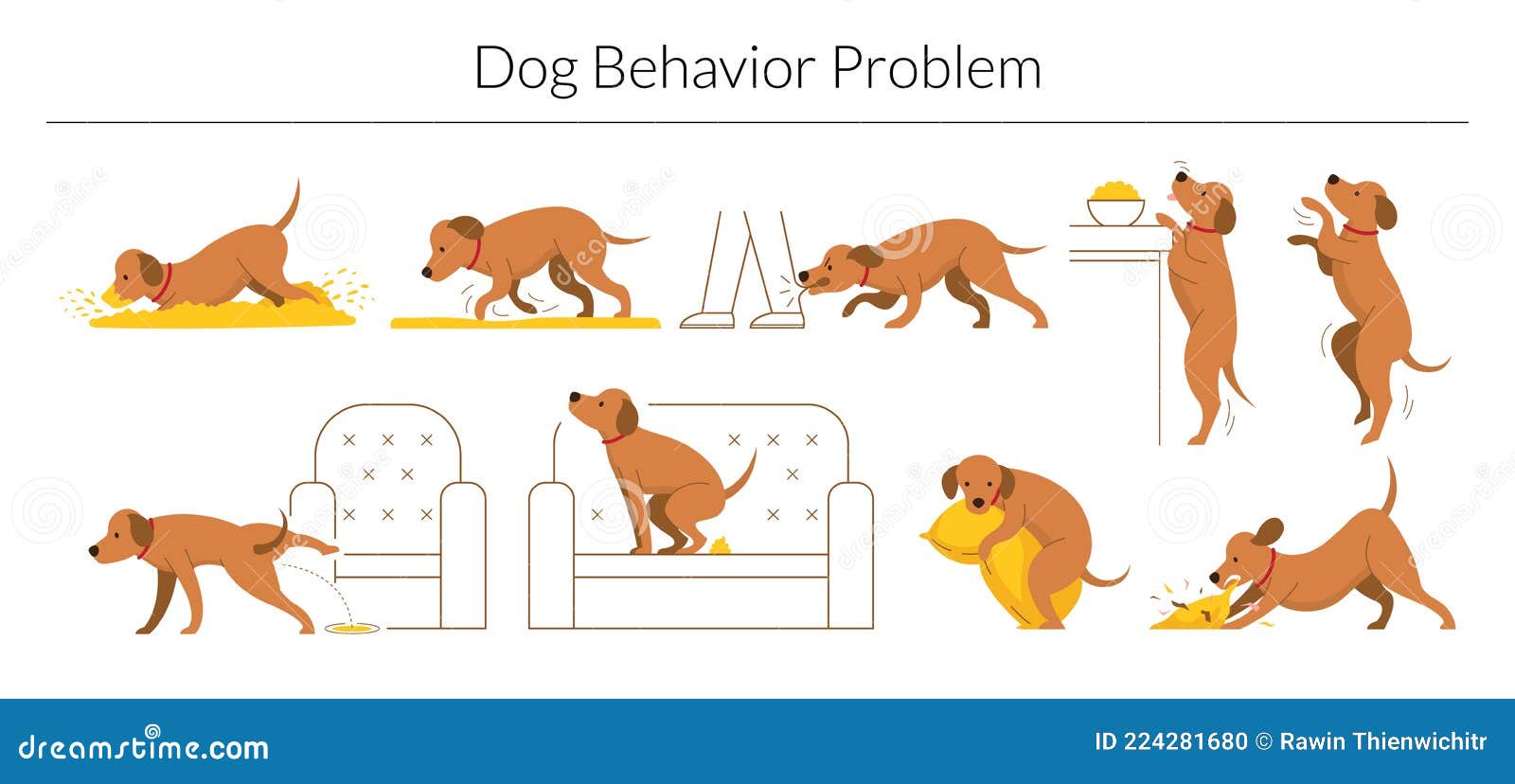 Dog Behavior Problem Set stock vector. Illustration of sofa - 224281680