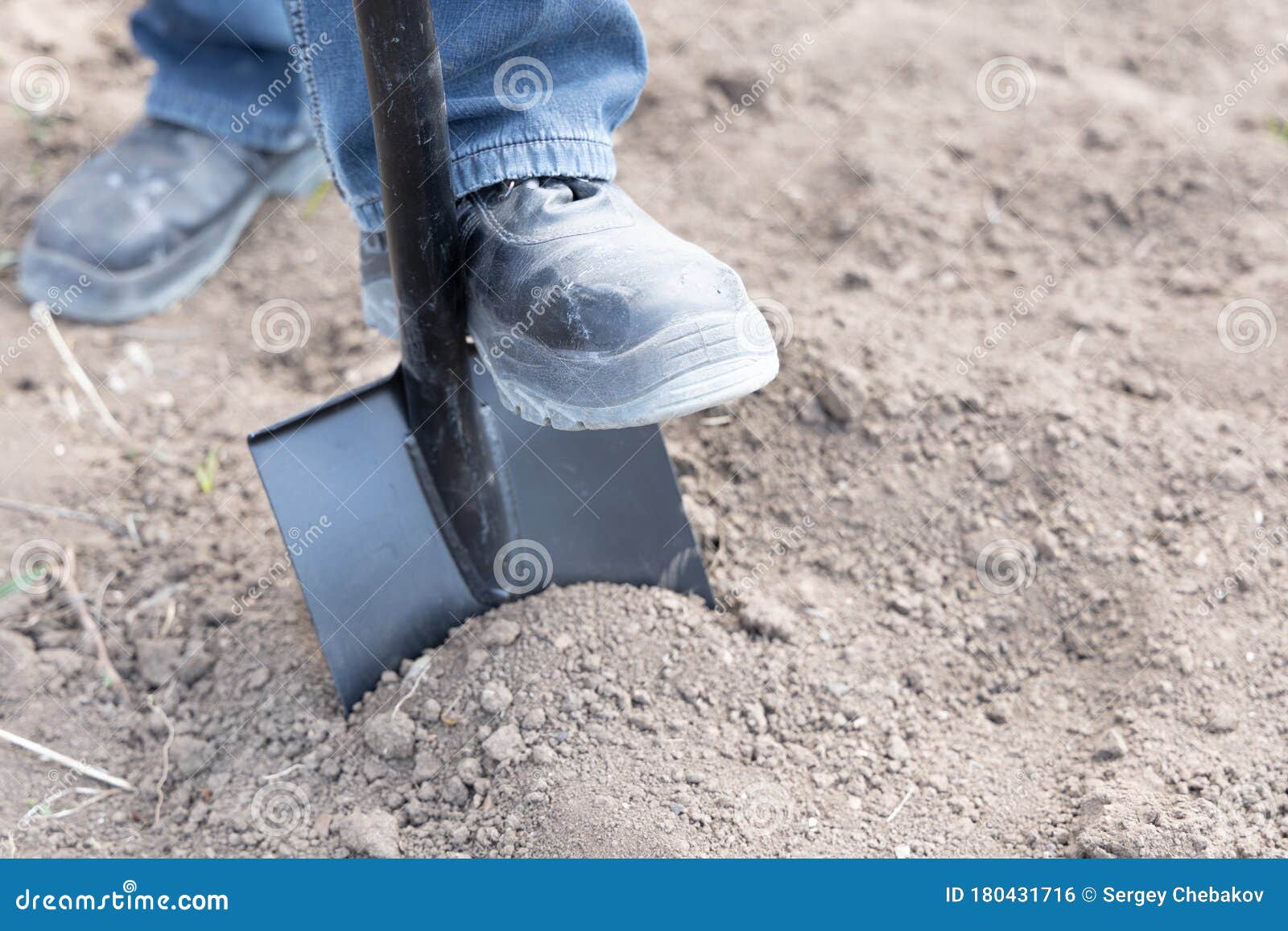 Digging the Earth with a Metal Shovel Stock Photo - Image of ...