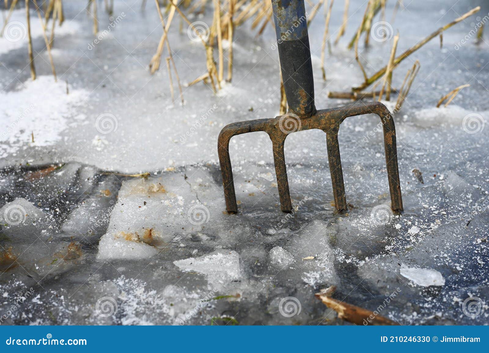 Digging fork in ice stock photo. Image of snow, stuck - 210246330