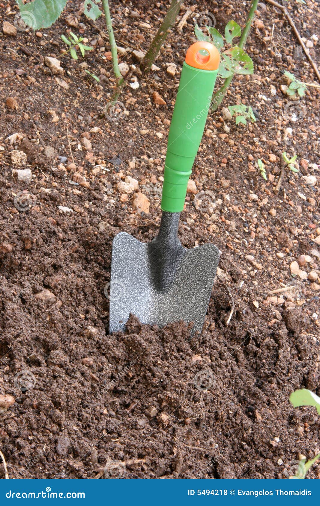 Digging the garden stock photo. Image of garden, closeup - 5494218