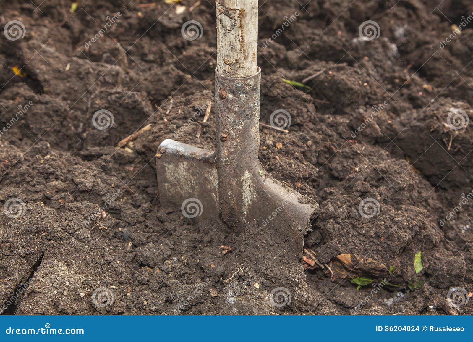 Digging in the garden stock photo. Image of peasant, land - 86204024