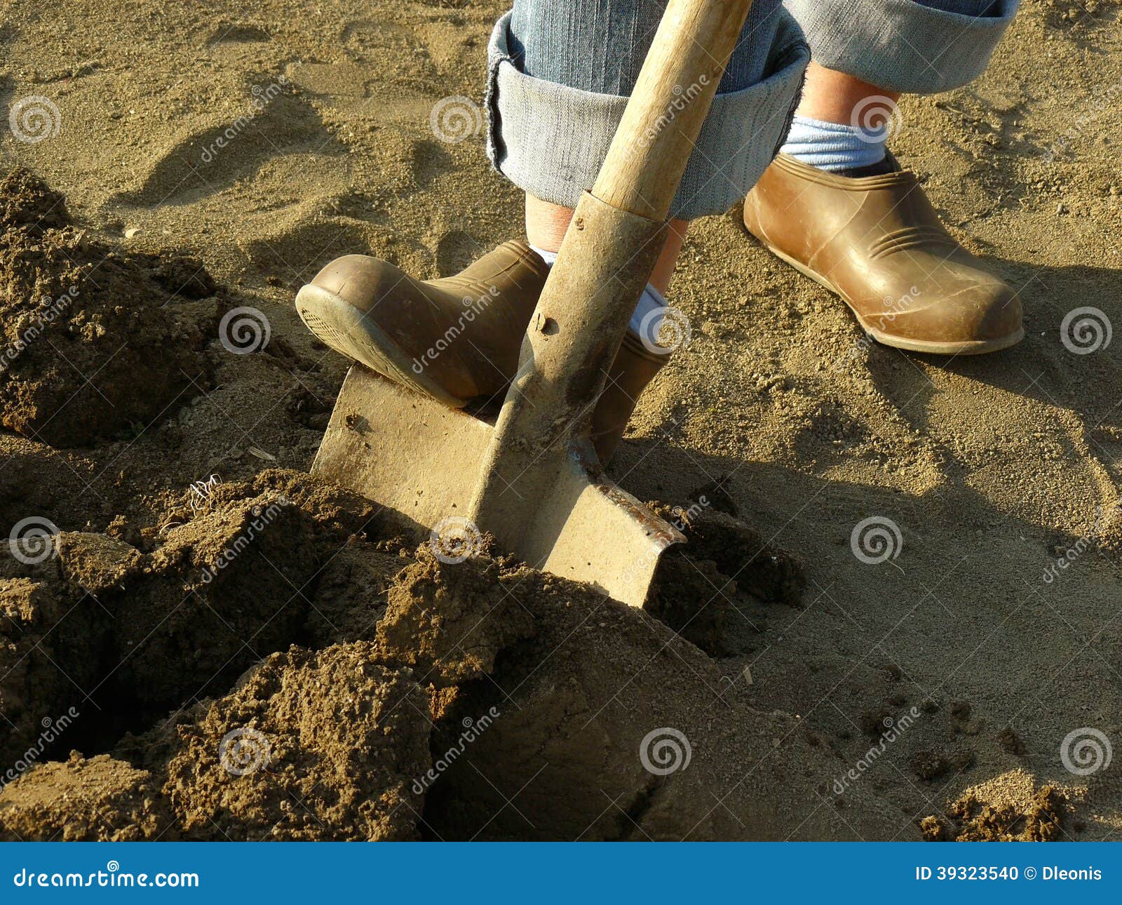 Digging in a garden stock photo. Image of dirt, pile - 39323540