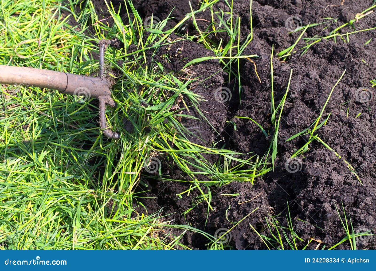 Digging of green manure stock photo. Image of soil, village - 24208334