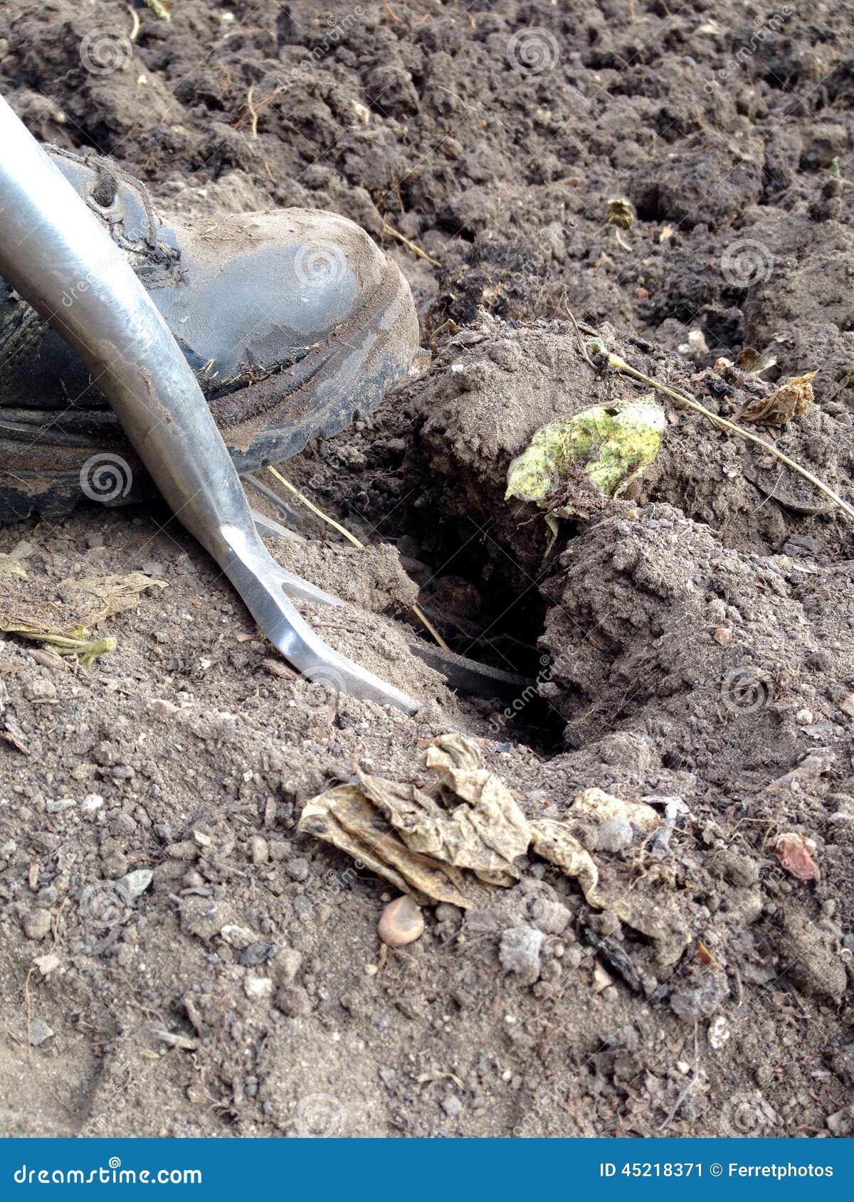 Digging the ground stock image. Image of soil, fork, ground - 45218371