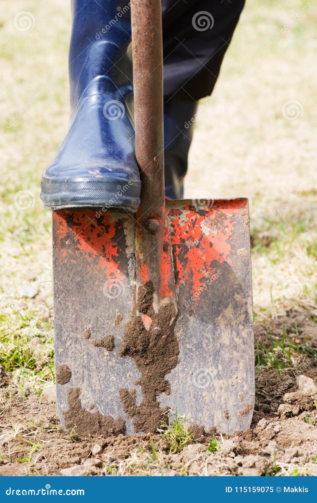 Digging Ground in the Field Stock Image - Image of farmer, ground ...