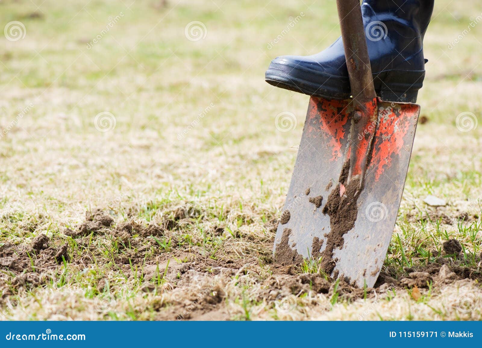 Digging Ground in the Field Stock Image - Image of lawn, farm: 115159171