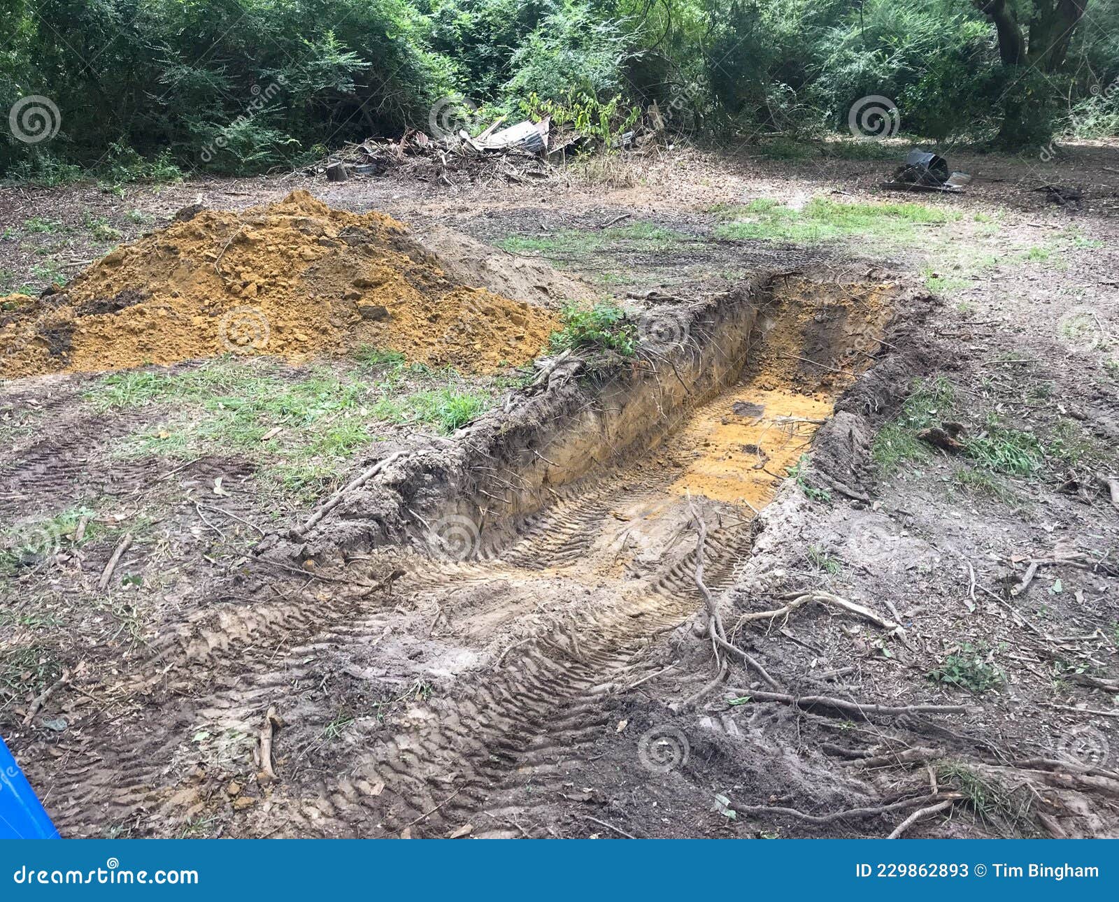 Digging a Hole in the Forest Stock Image - Image of brown, forest ...