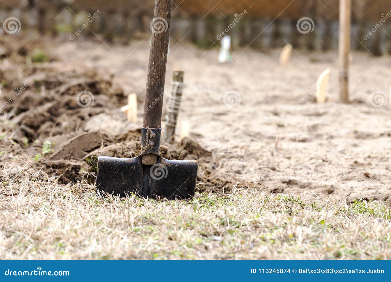 Digging in the Home Garden. Stock Photo - Image of gardener, plant ...