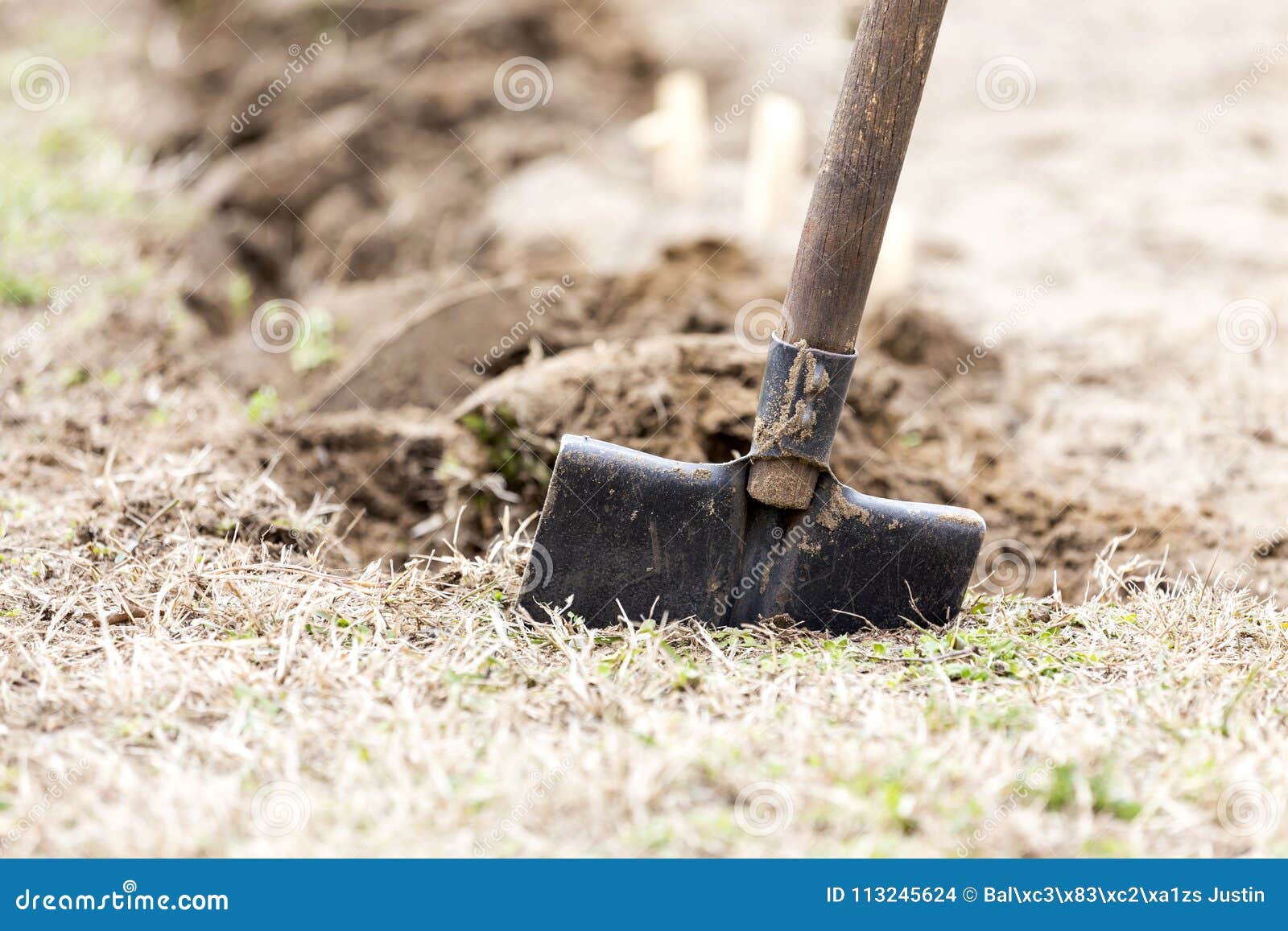 Digging in the Home Garden. Stock Photo - Image of gardener, grass ...