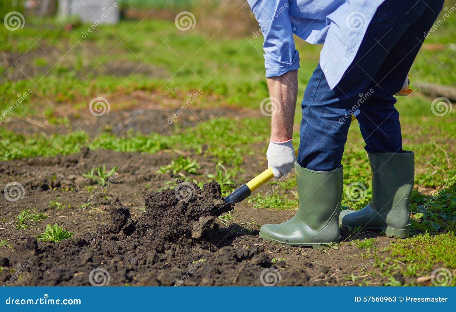 Digging stock image. Image of people, ground, grass, occupation - 57560963