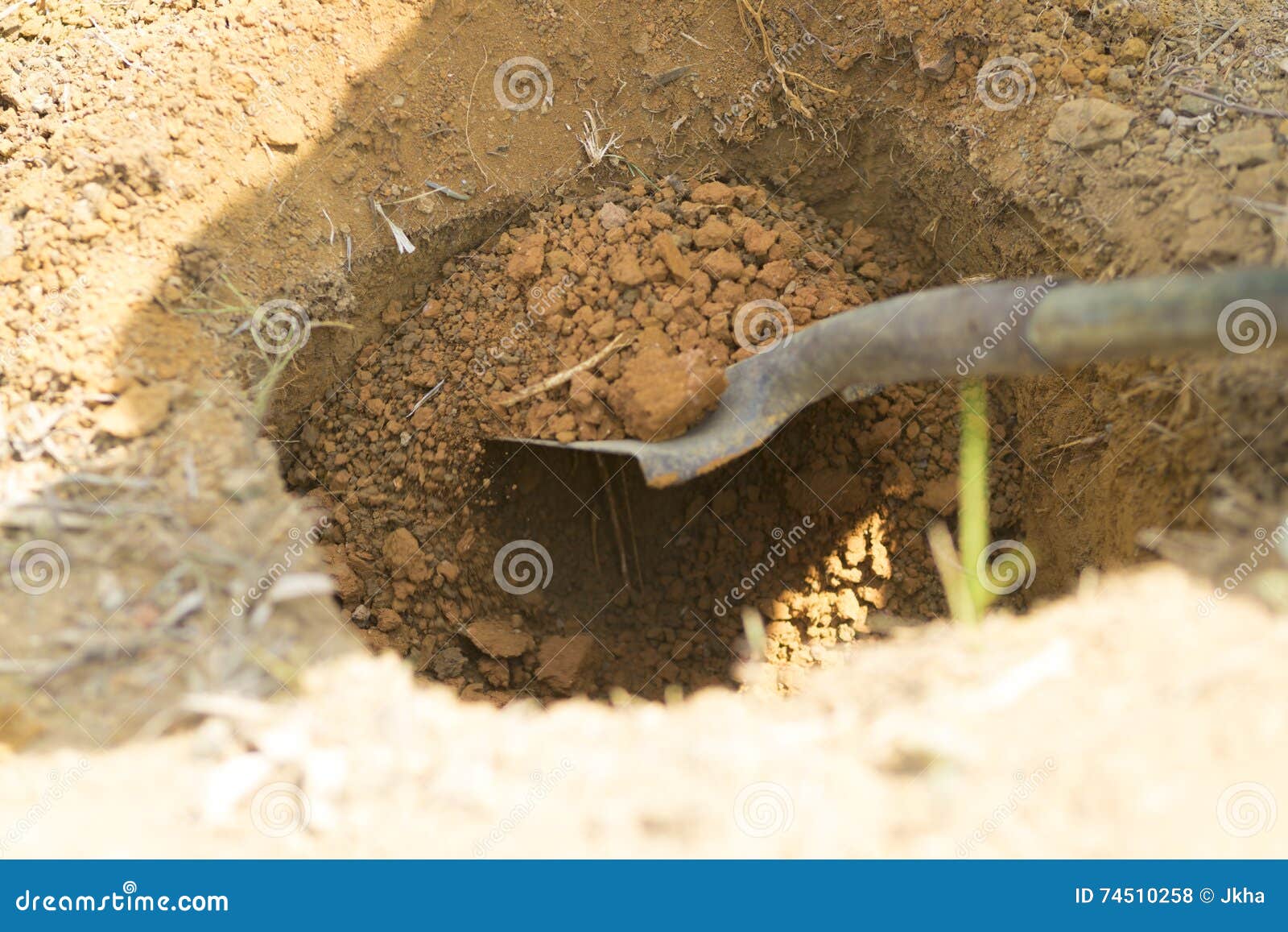 Digging the Land for Planting Stock Photo - Image of inspiration ...