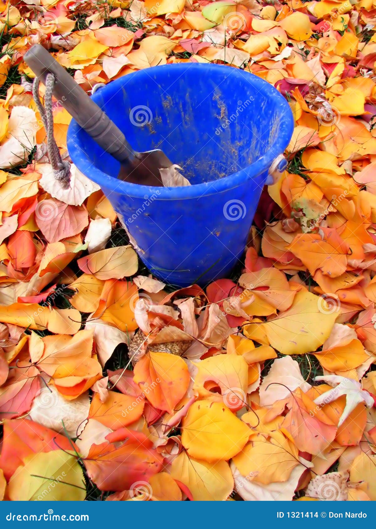 Digging Leaves stock photo. Image of leaf, yellow, shovel - 1321414